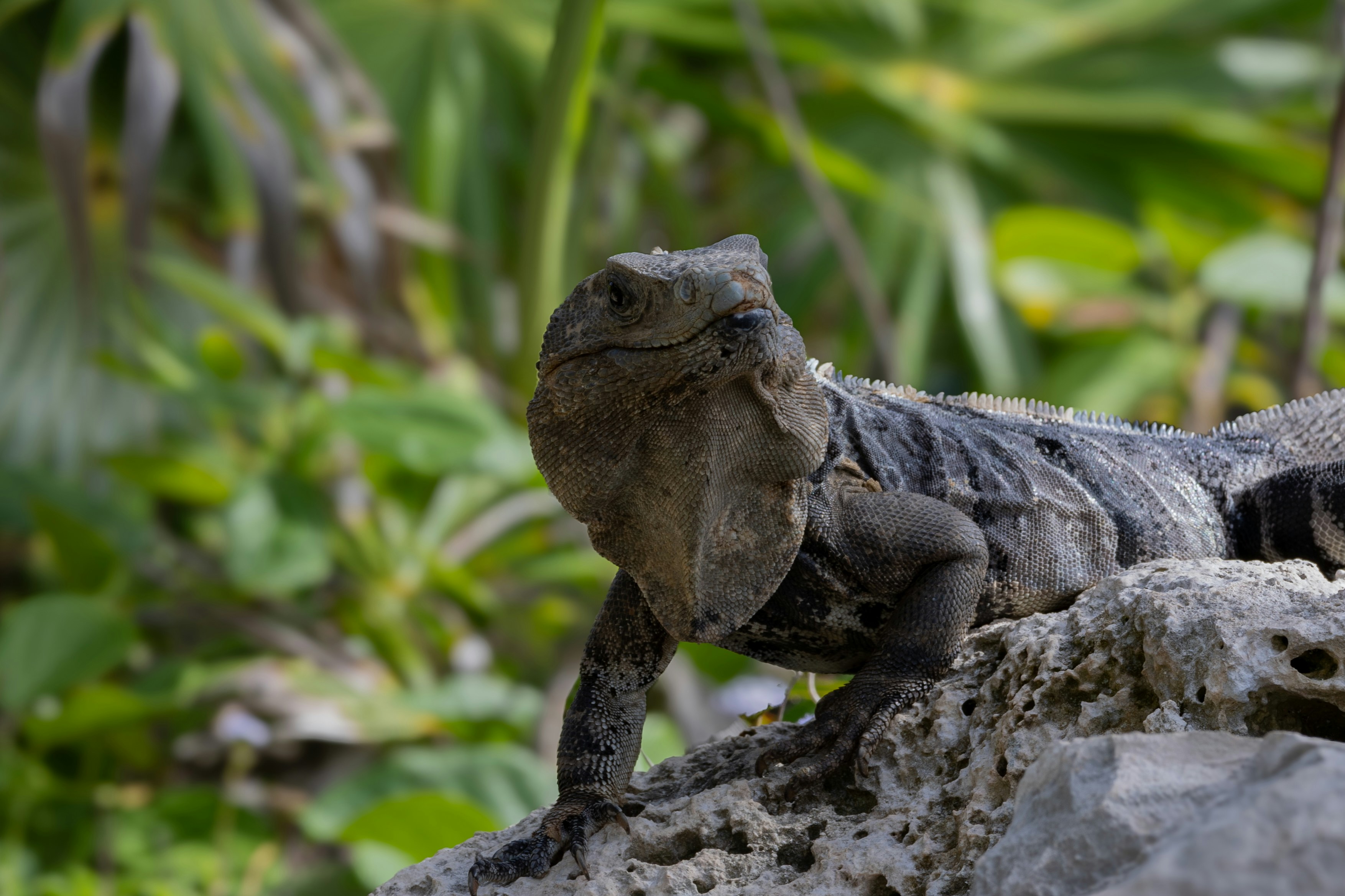 Photo by Justin McClain with Canon EOS R6