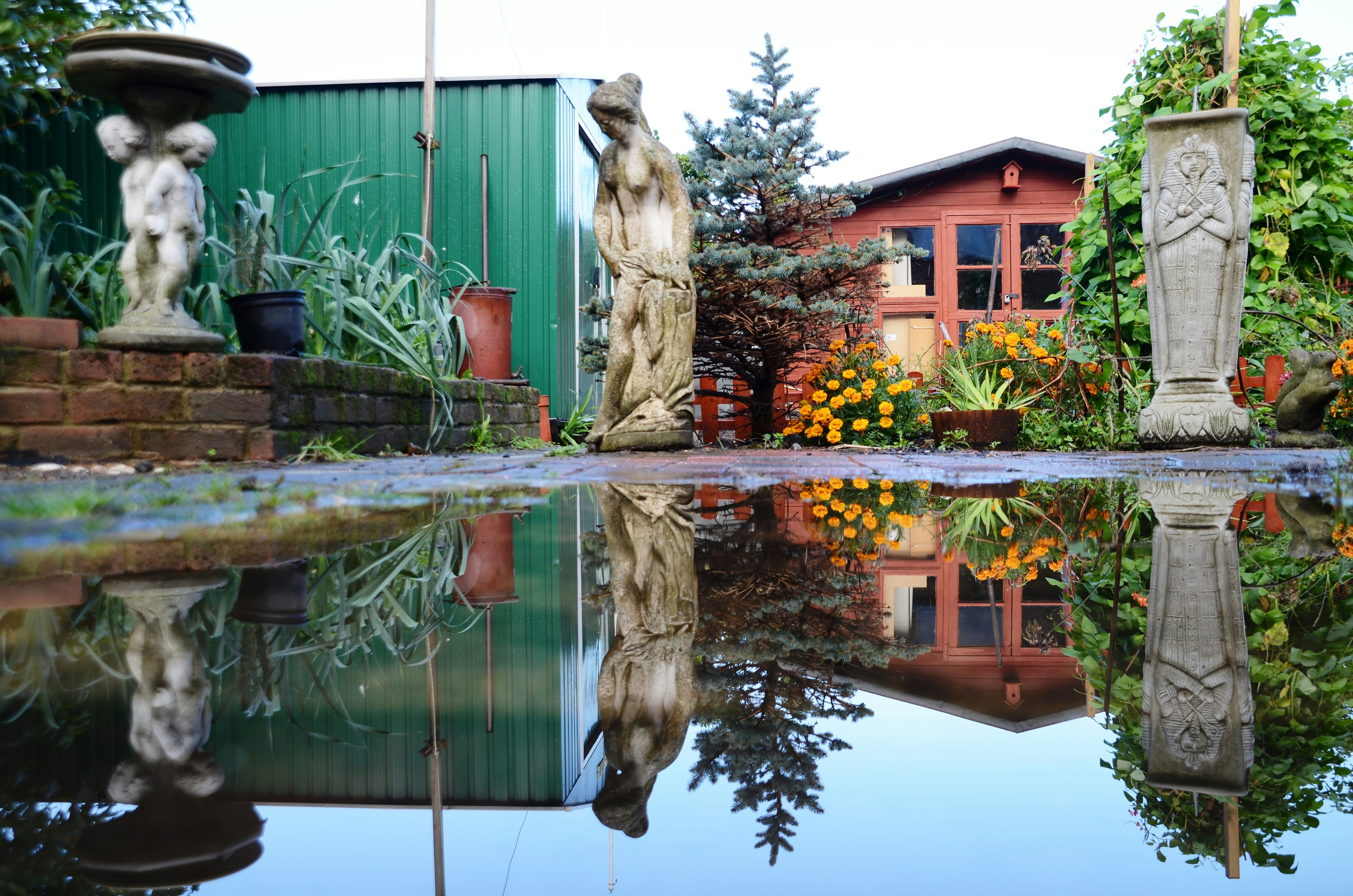 Stone Guardians Framed by a Tranquil Garden Pond