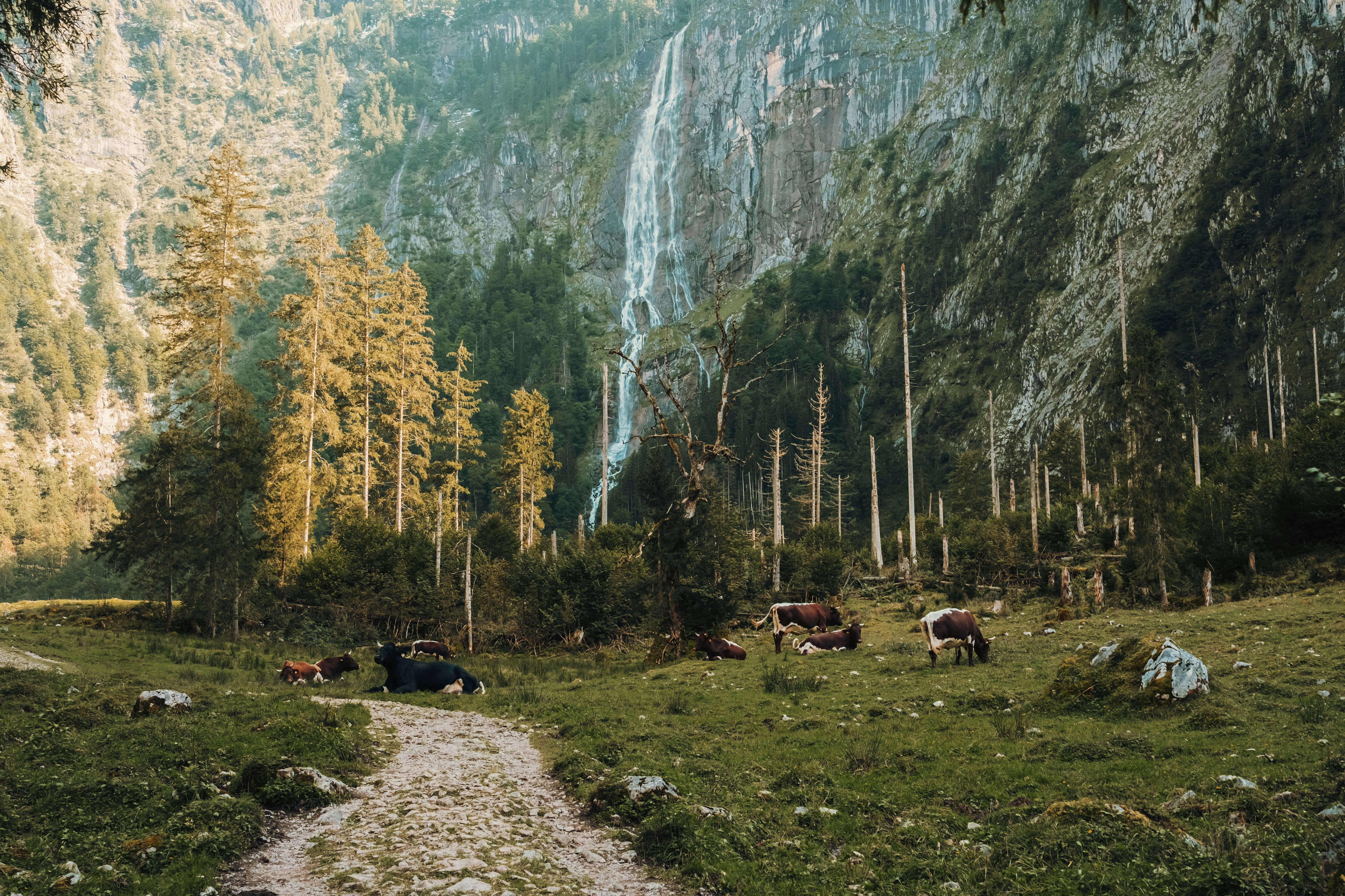 A path leading to a waterfall in the mountains photo – Free Obersee ...
