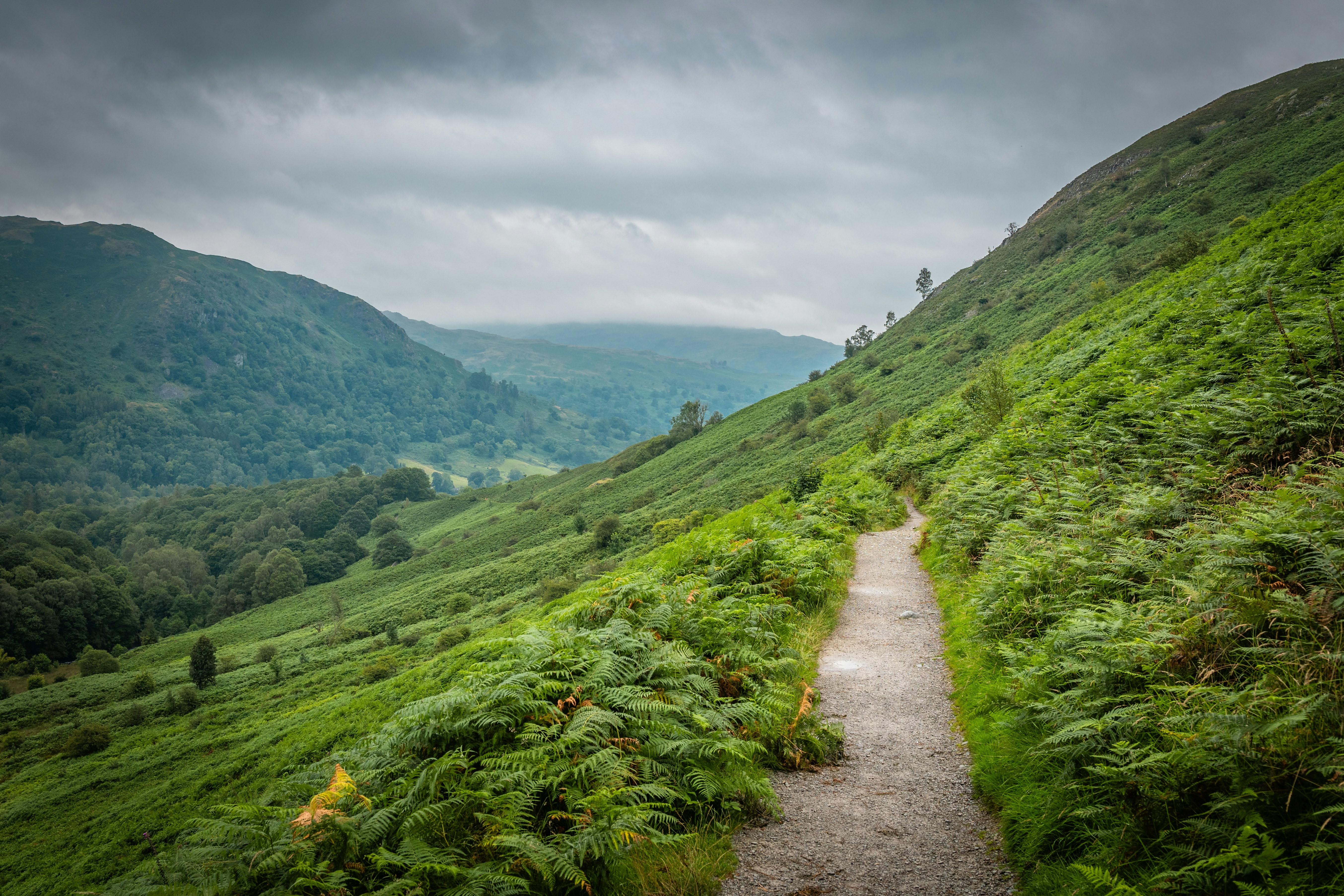 A path in the middle of a lush green valley photo – Free Lake district ...