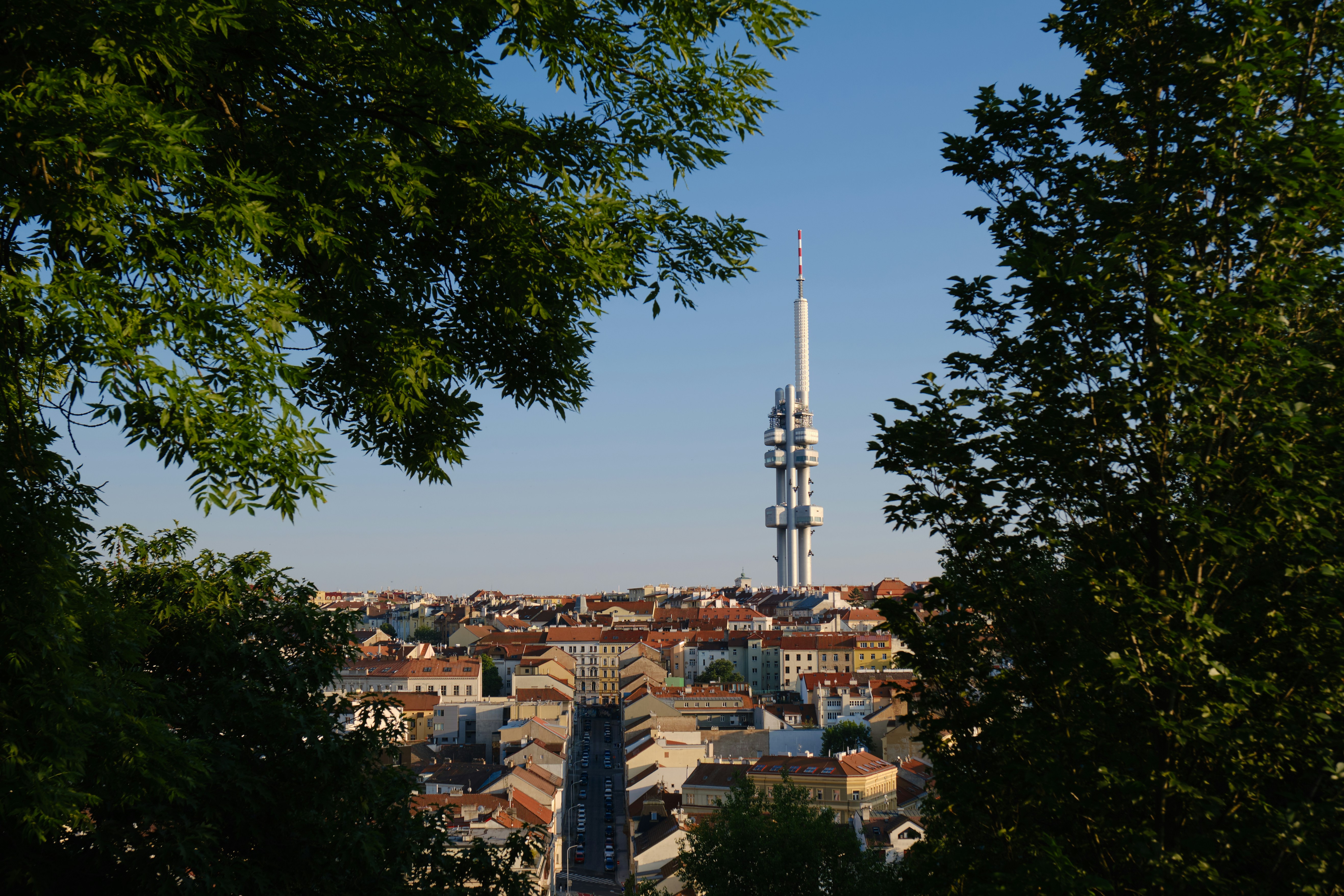 Signal Spire Above Rooftop Mosaic