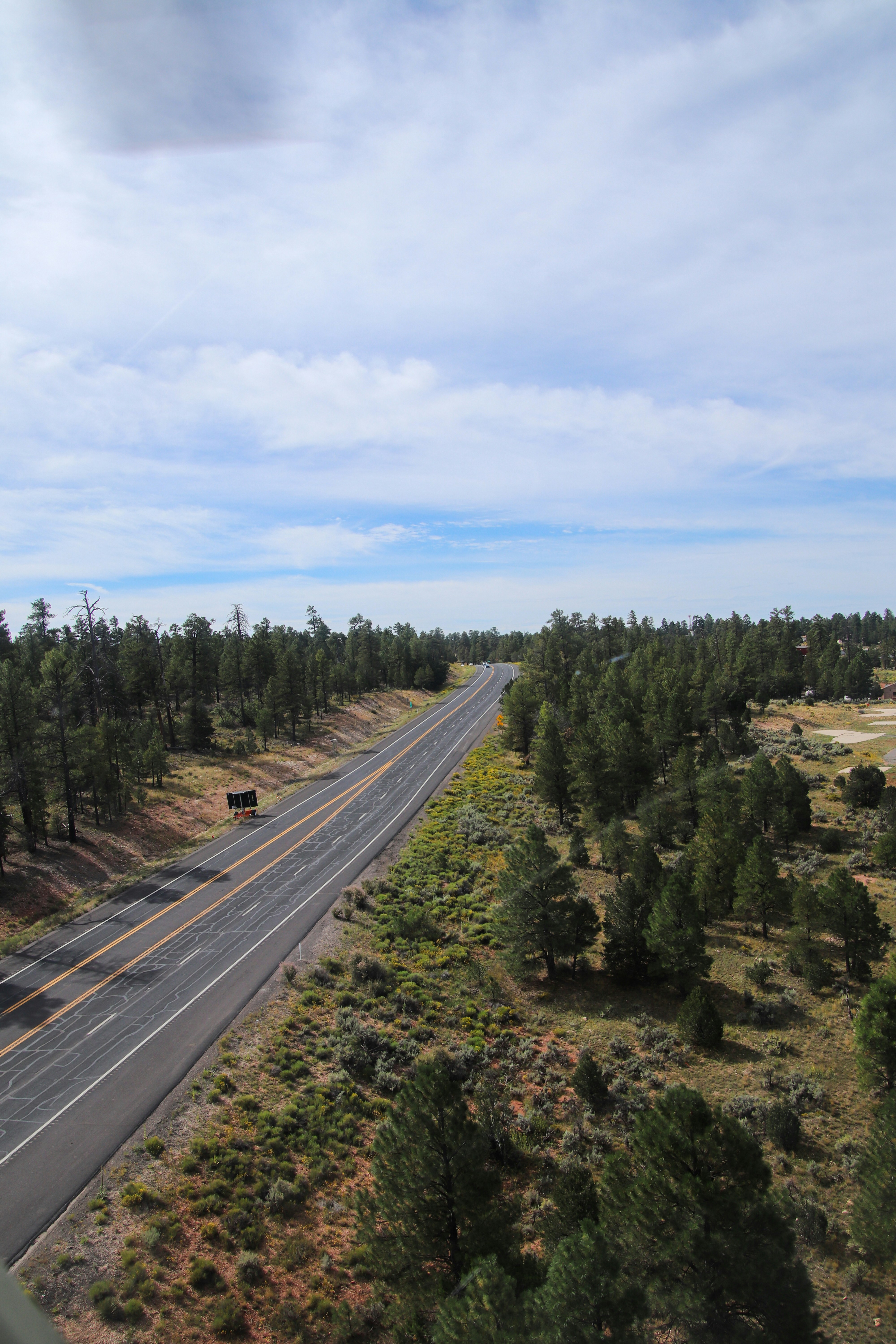 Two-Lane Ribbon Winding Through Pine Flats Toward a Pale Blue Horizon
