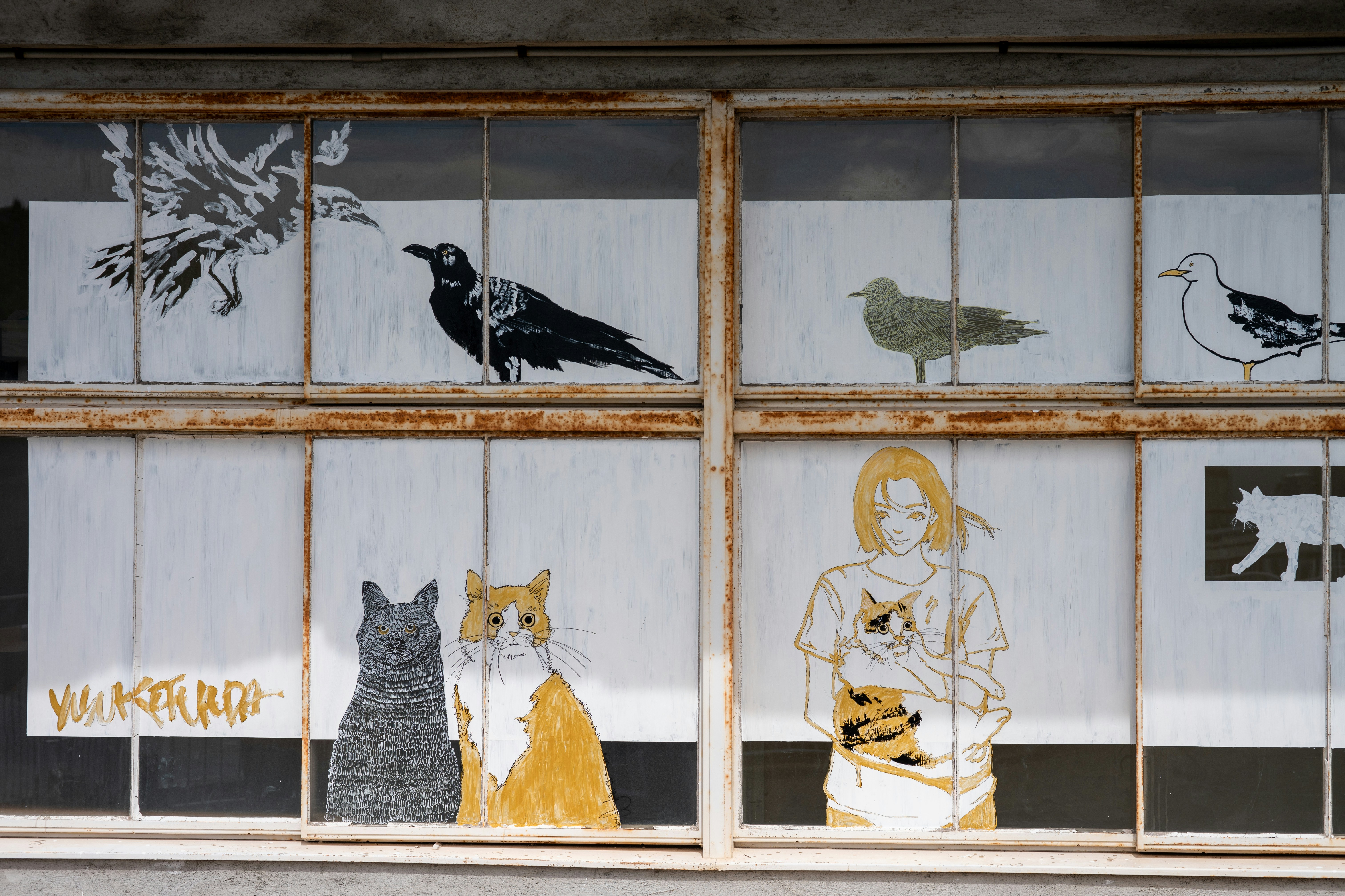 A window with cats and birds drawn on it