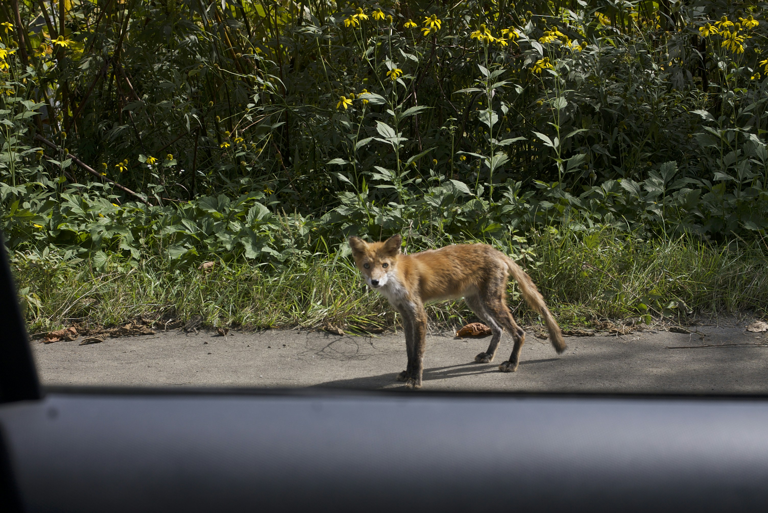 Photo by Yujin Yano with Pentax *ist DS