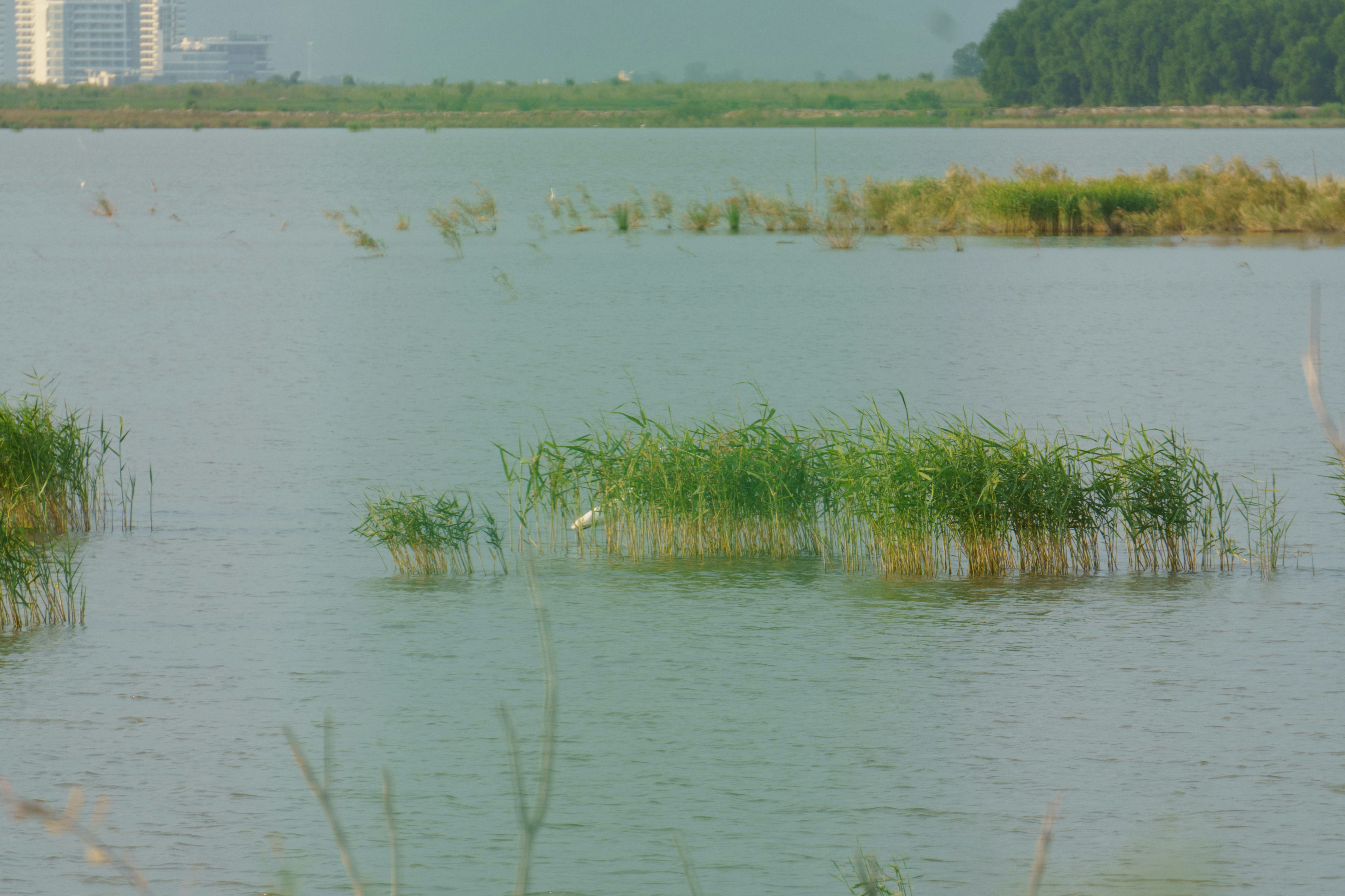 Photo by Shawn Rain with Sony Alpha 6400