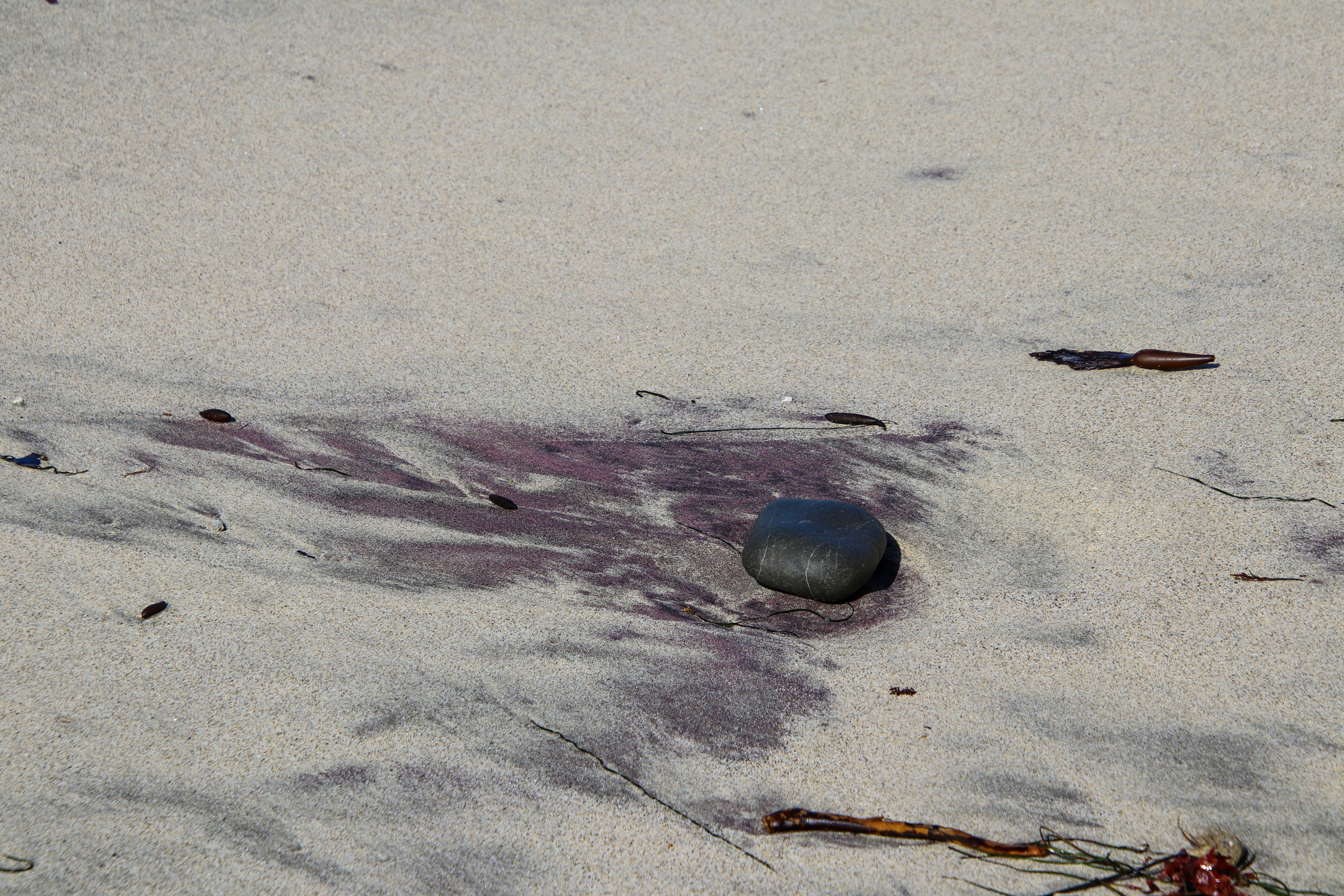 Pebble on a Stained Shoreline: Quiet Patterns in Sand