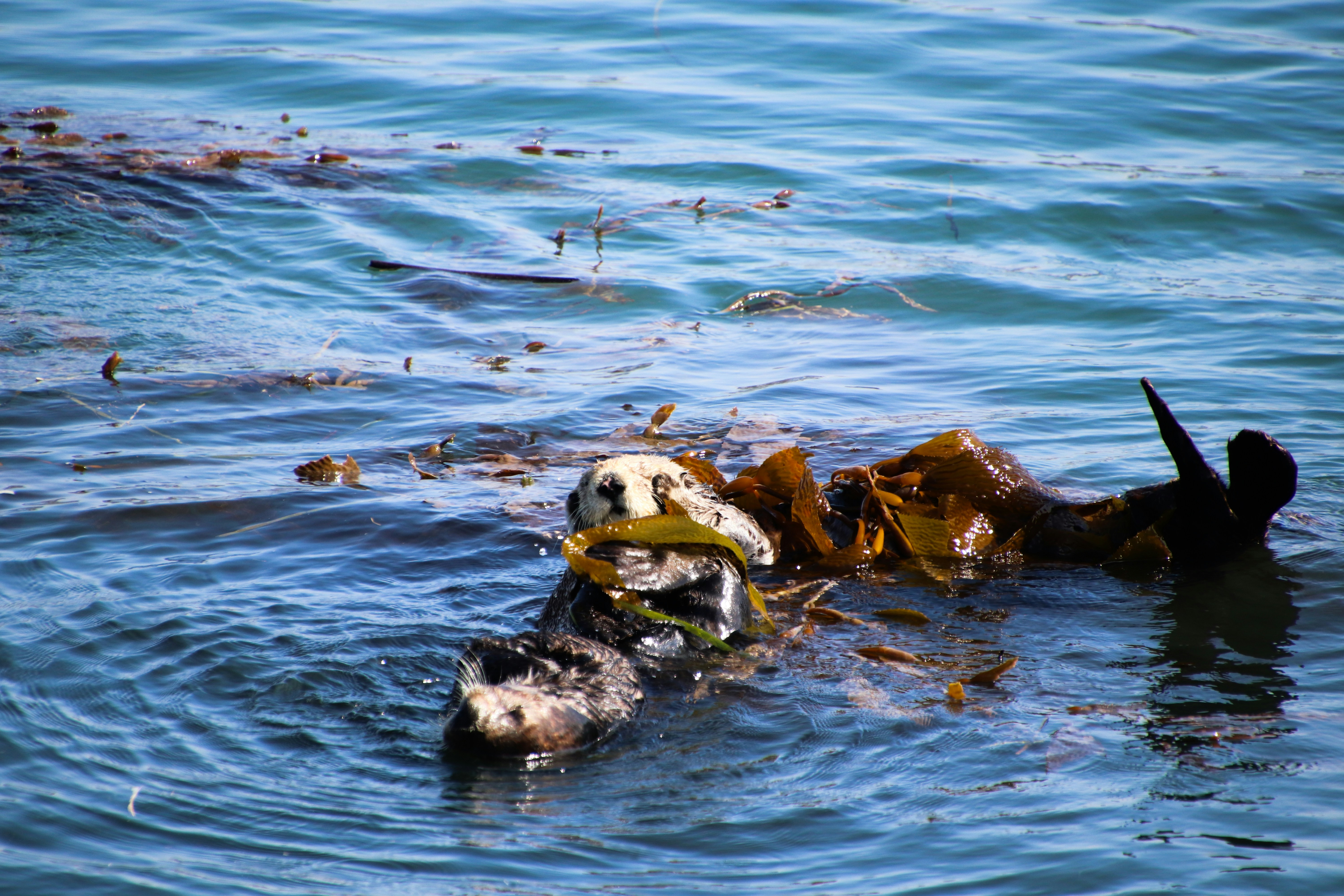 Photo by Megan Clark with Canon EOS 200D