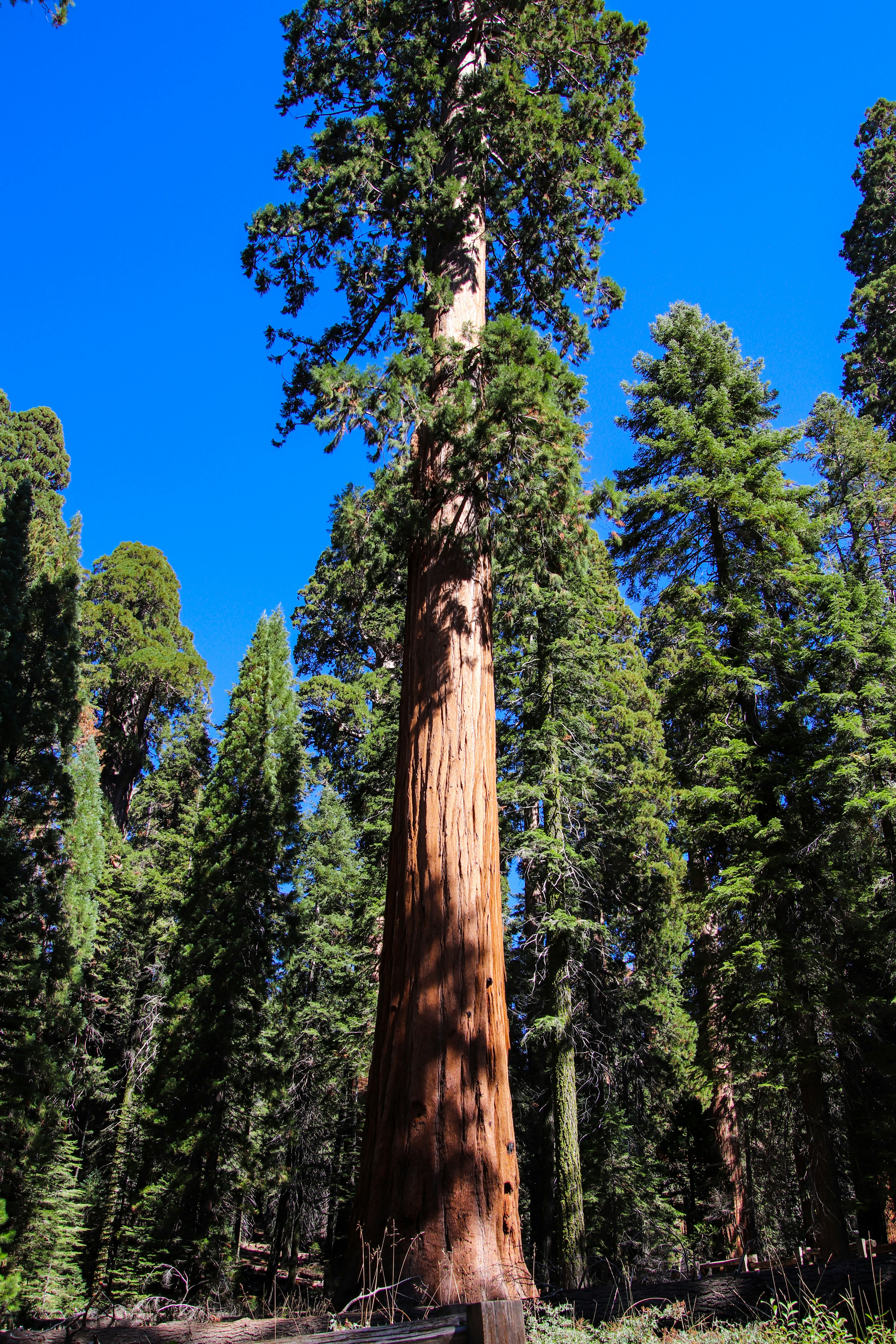 Photo by Megan Clark with Canon EOS 200D