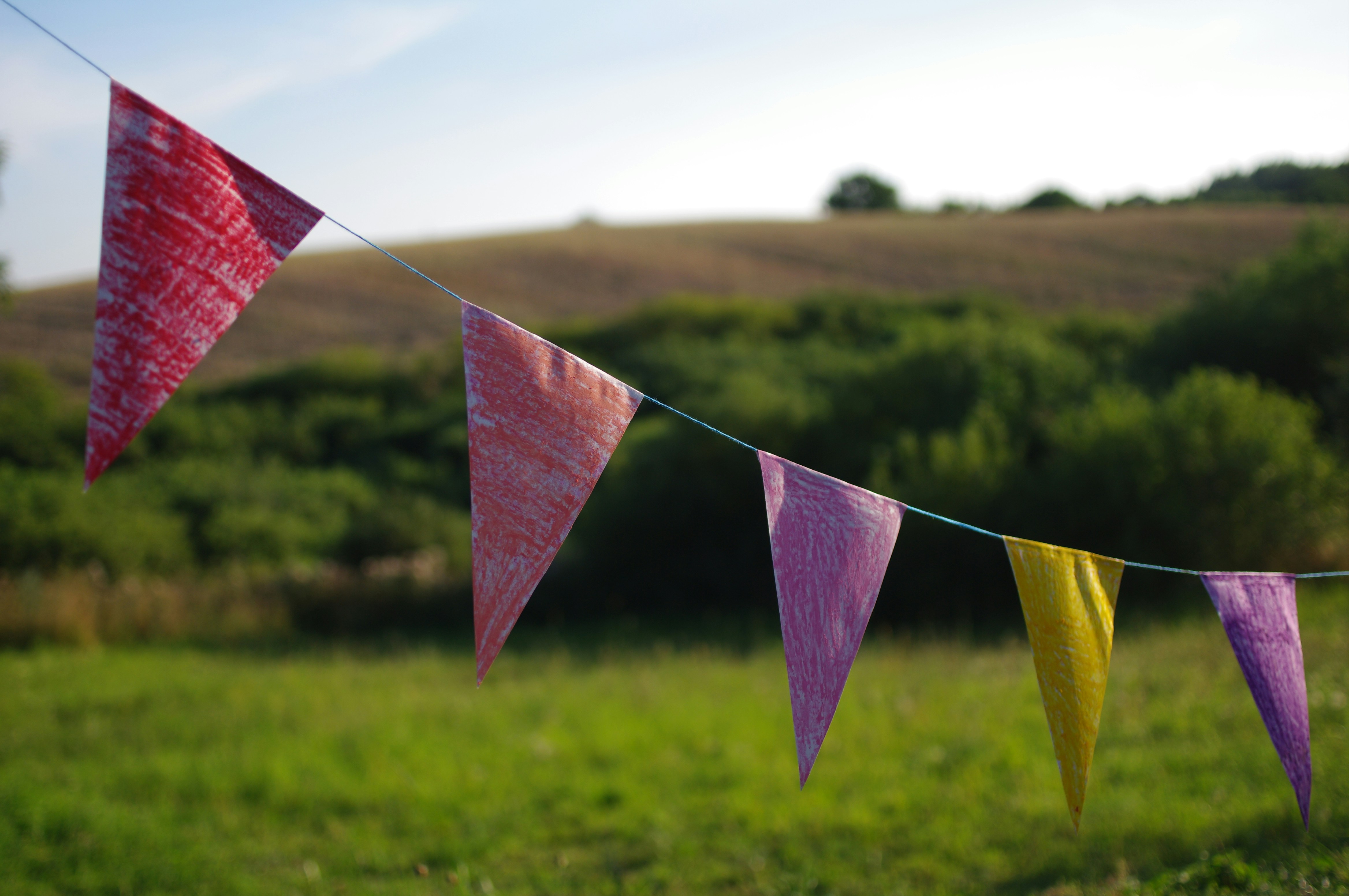 A bunch of flags that are in the grass photo – Free Summer Image on ...
