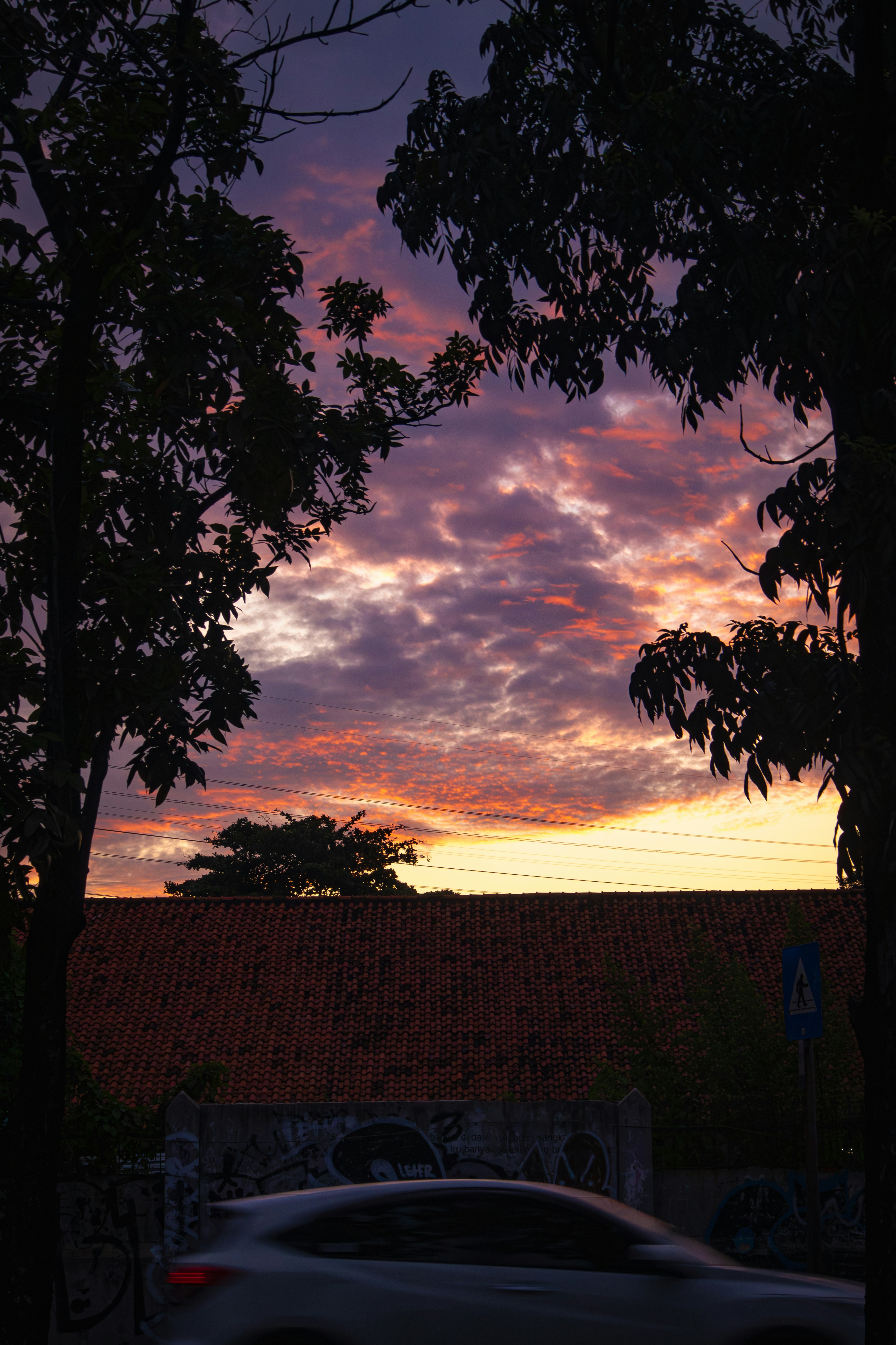 Dusk Between Silhouettes: Skyfire Framed by Urban Canopy