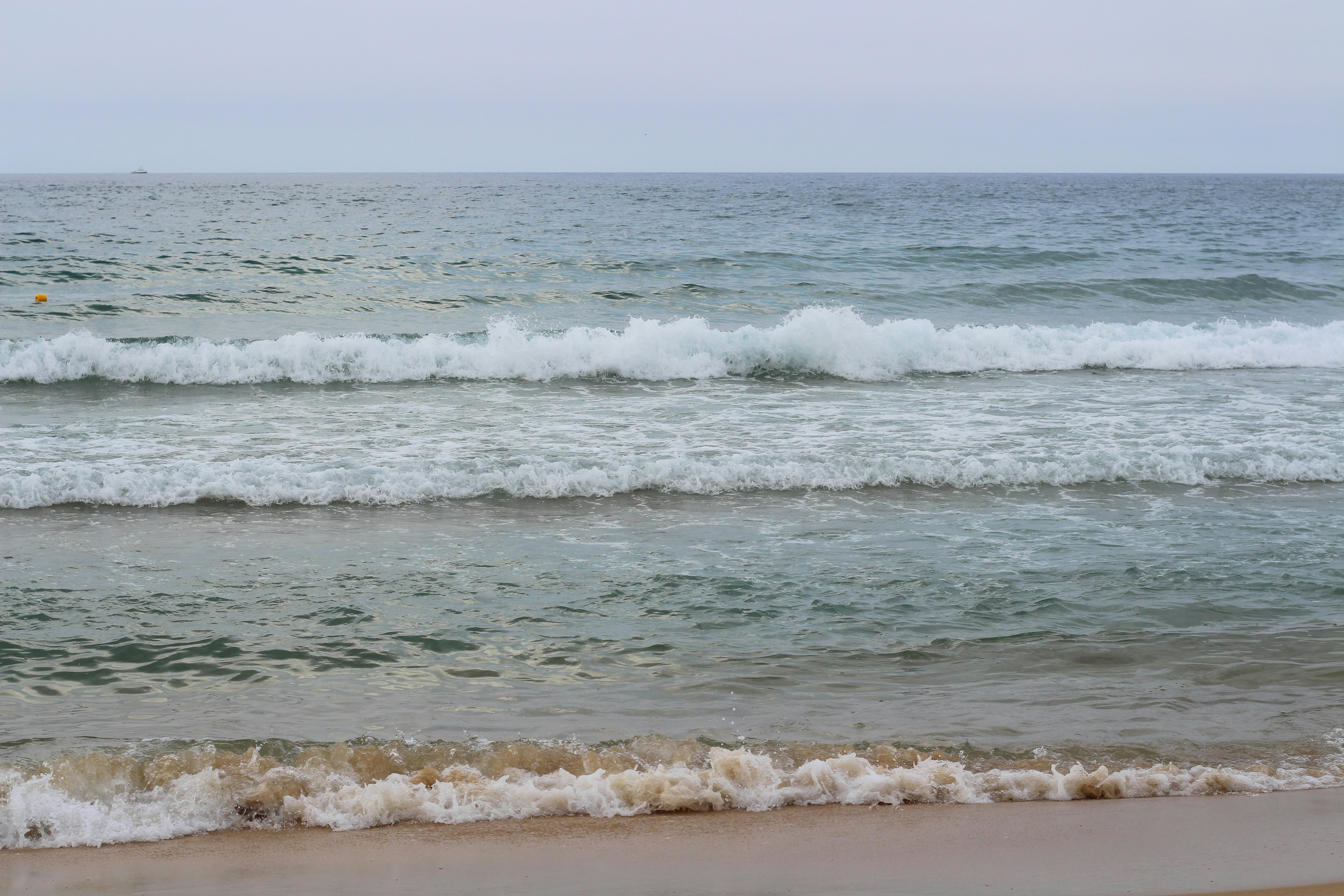 Tidal Wave Pictures | Download Free Images on Unsplash