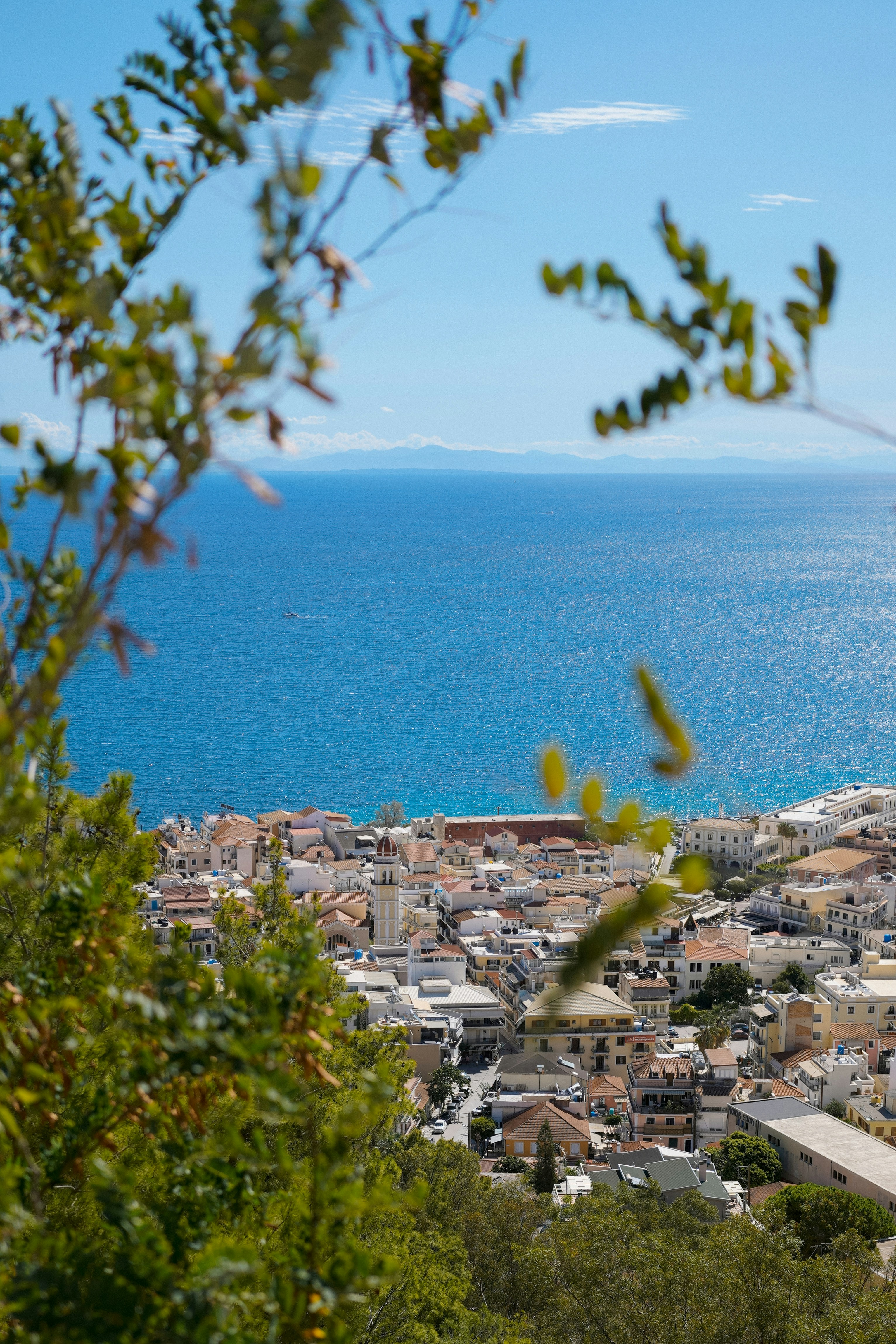 Veiled Vistas: A Sunlit Coastline Framed by Leaves