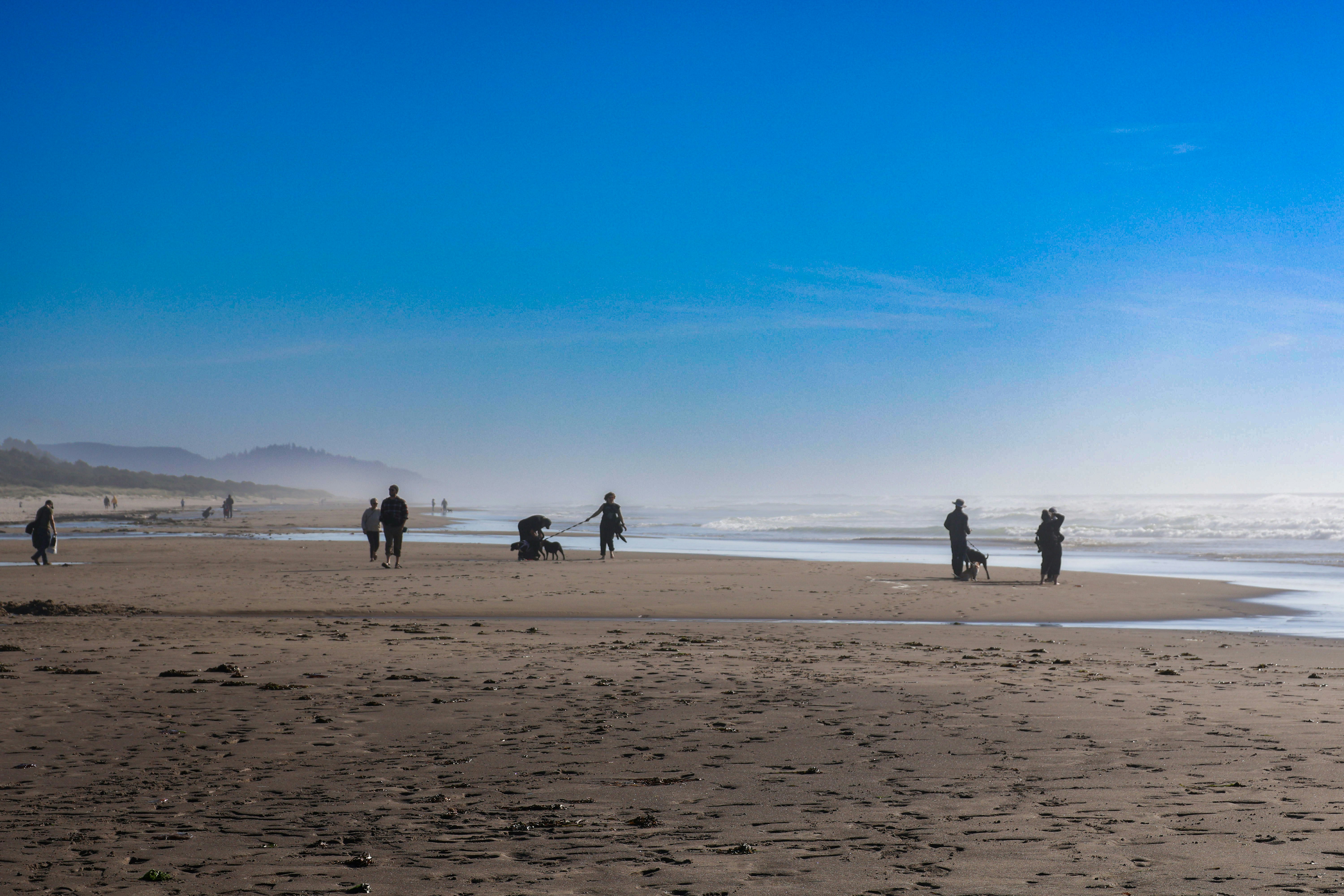 Tideline Parade: Quiet Figures Move Along a Wide Cerulean Coast