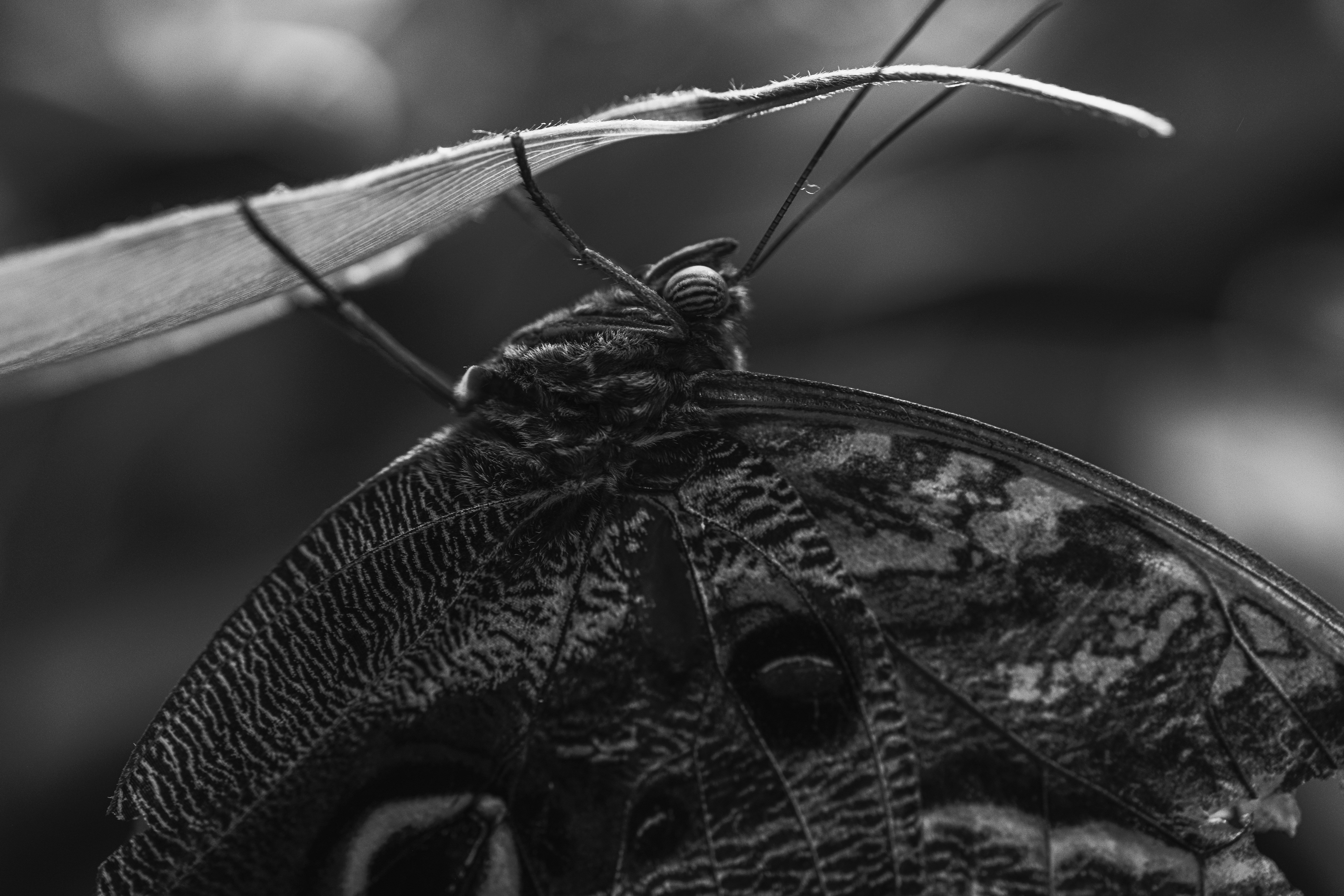 Phil Botha (@philbotha) | Unsplash Photo Community