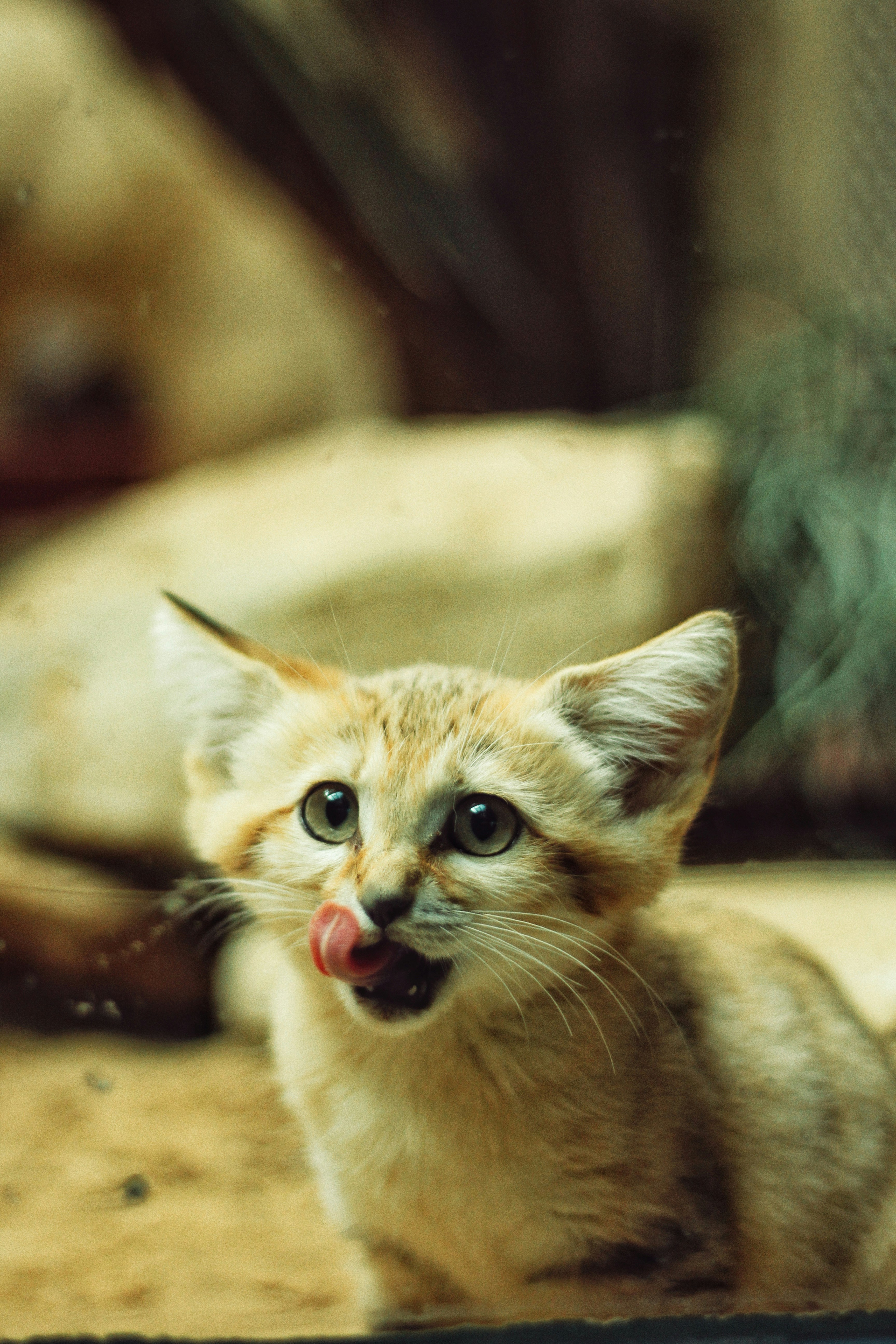 Photo by Diogo Lemos with Canon EOS 1200D