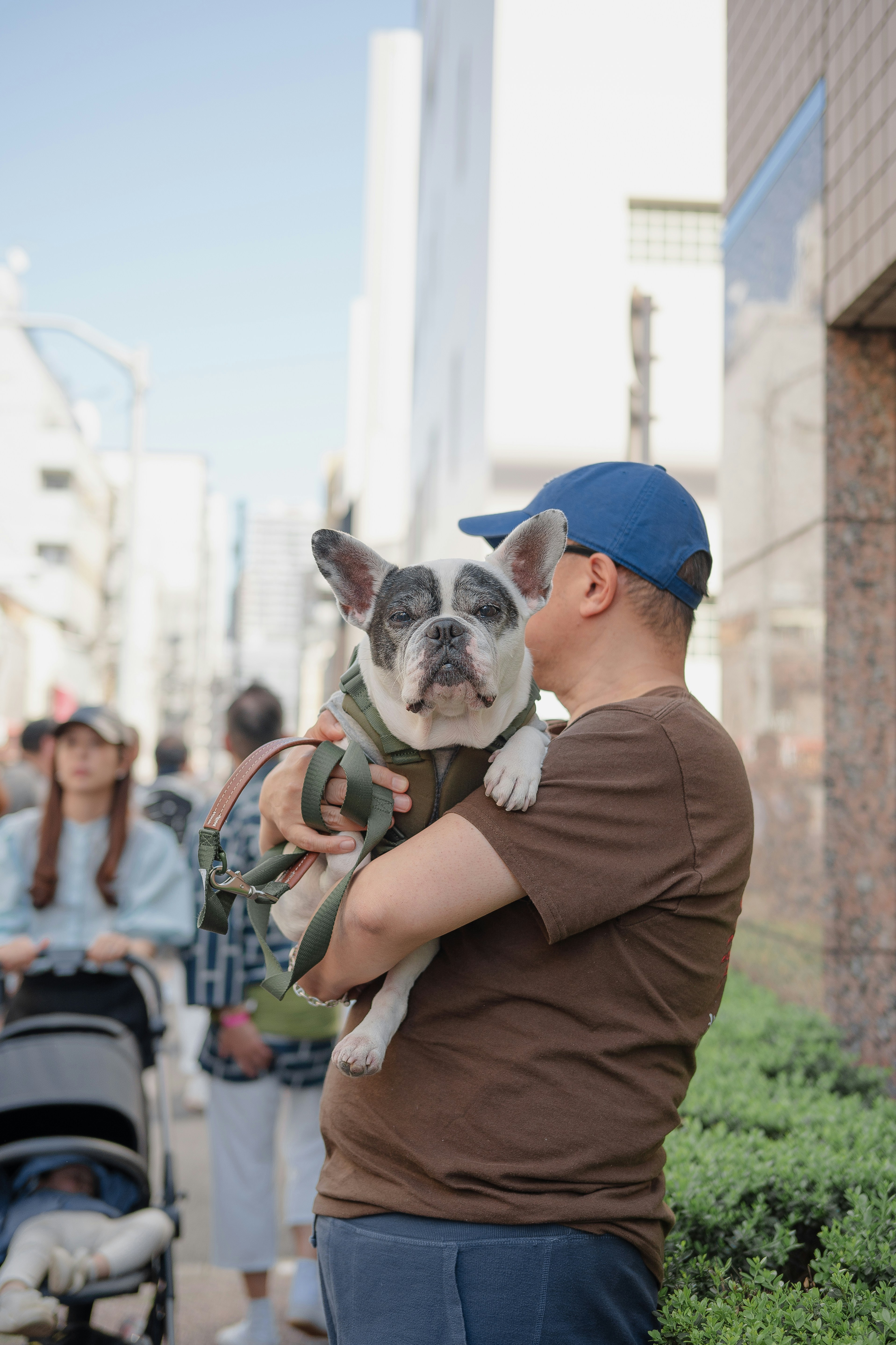 City Street Portrait: A Man and His French Bulldog Amid Soft-Blurred City Life
