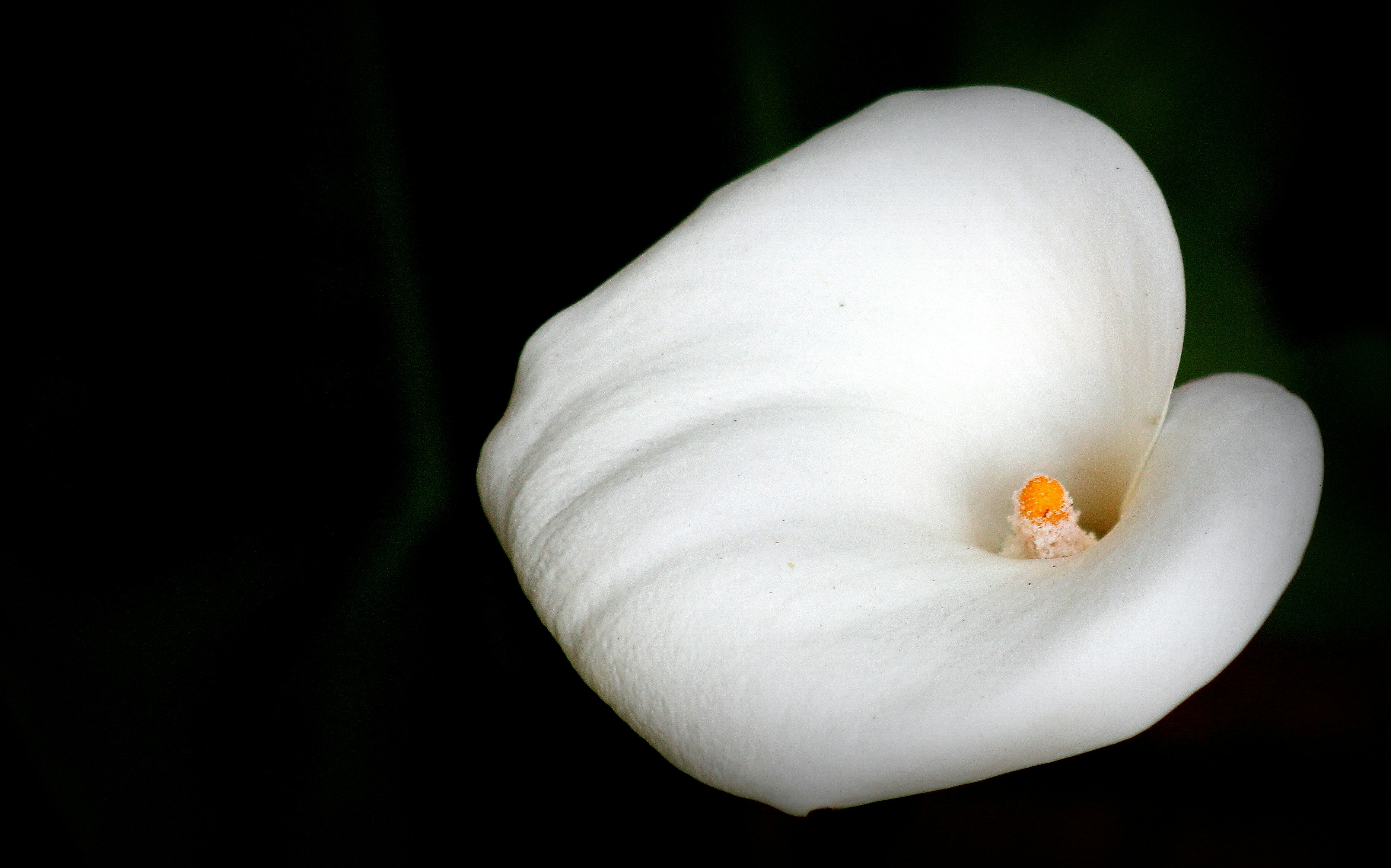 Photo by fred tromp with Canon EOS 4000D