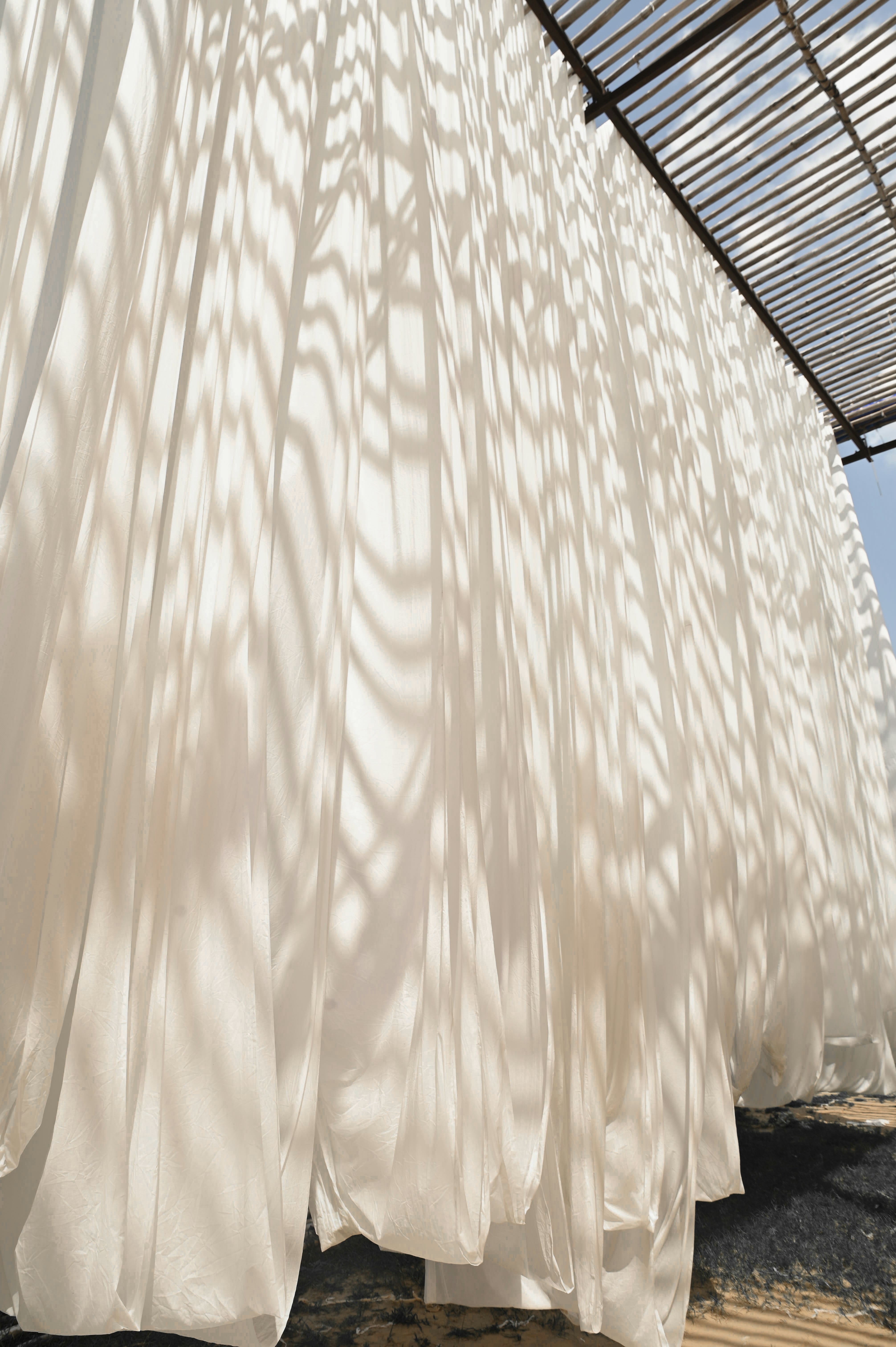 Shadowed Drapes: Cotton Veils in Gentle Sunlight