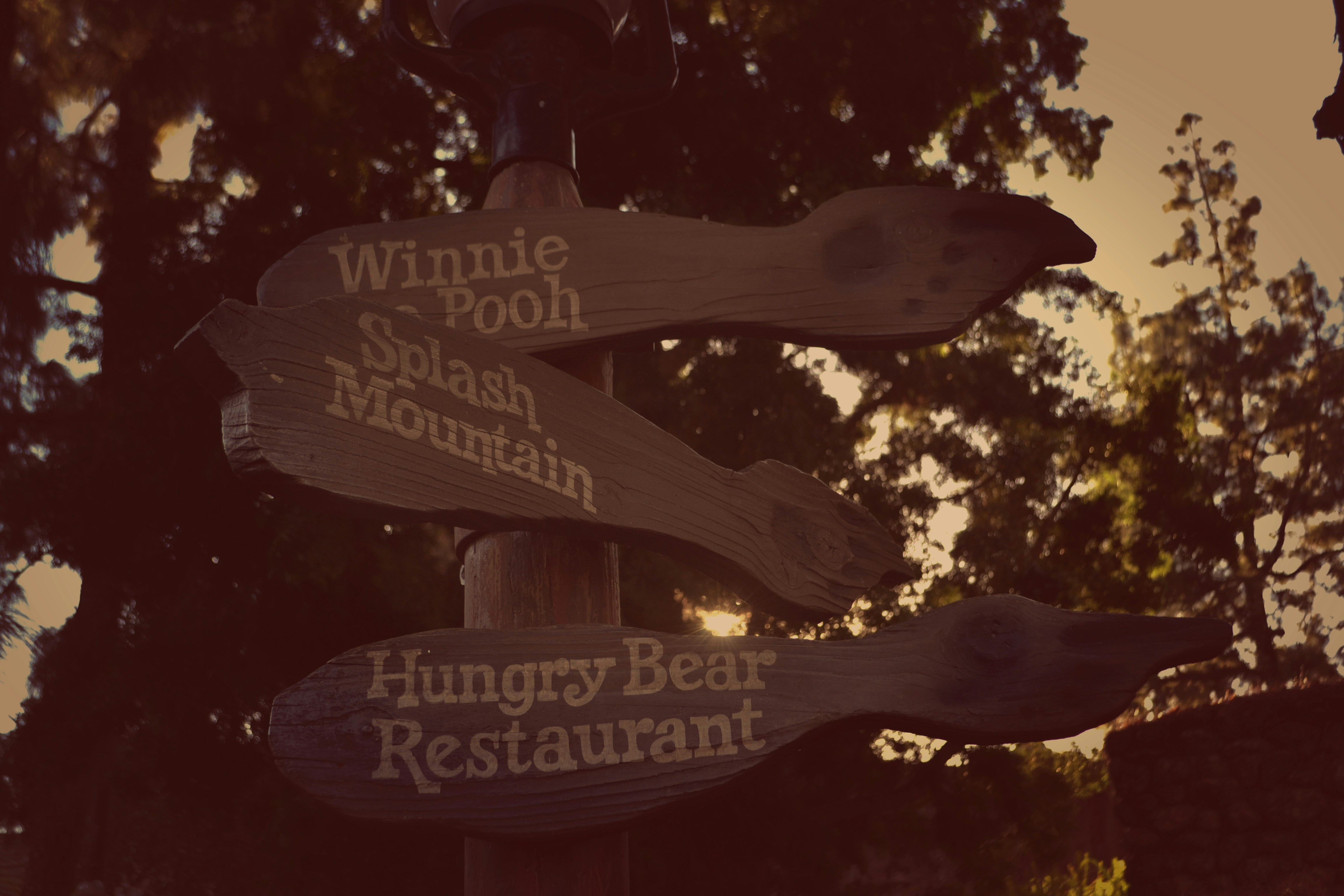 Wooden directional sign with whimsical text pointing to various locations, set against a backdrop of trees and soft evening light.