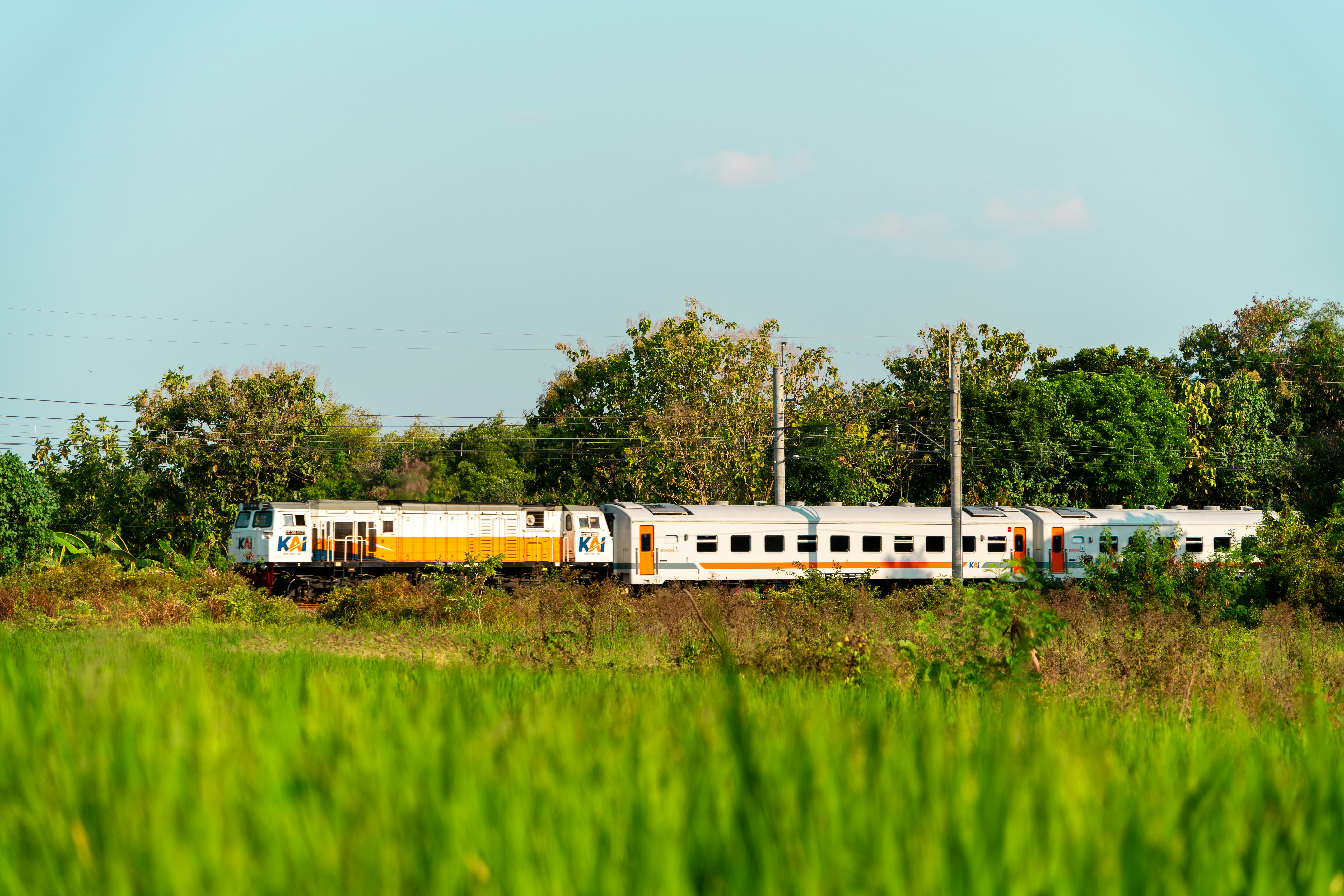 Amber-White Rails: A sunlit passenger train glides across a grassy frontier