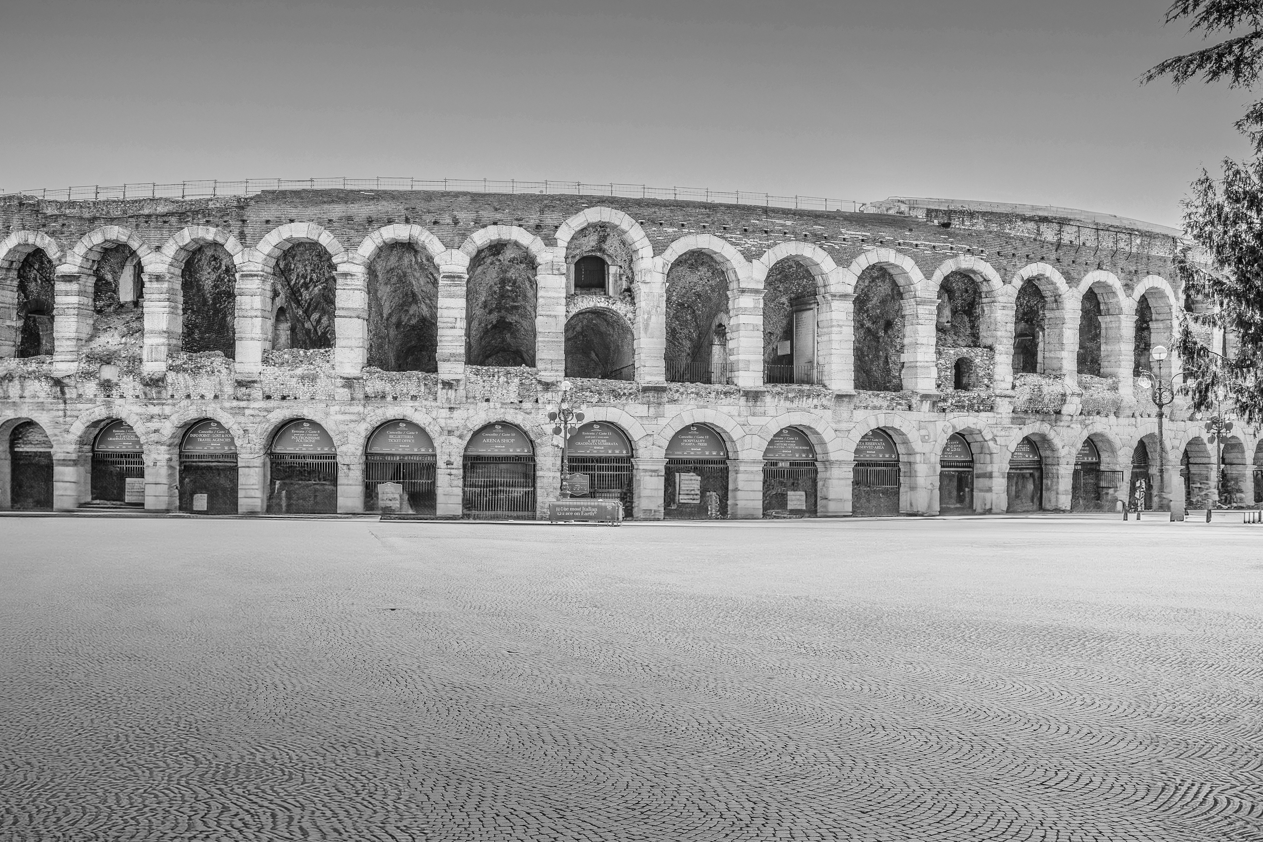 Photo by Arjan van den Berg with Canon EOS R6