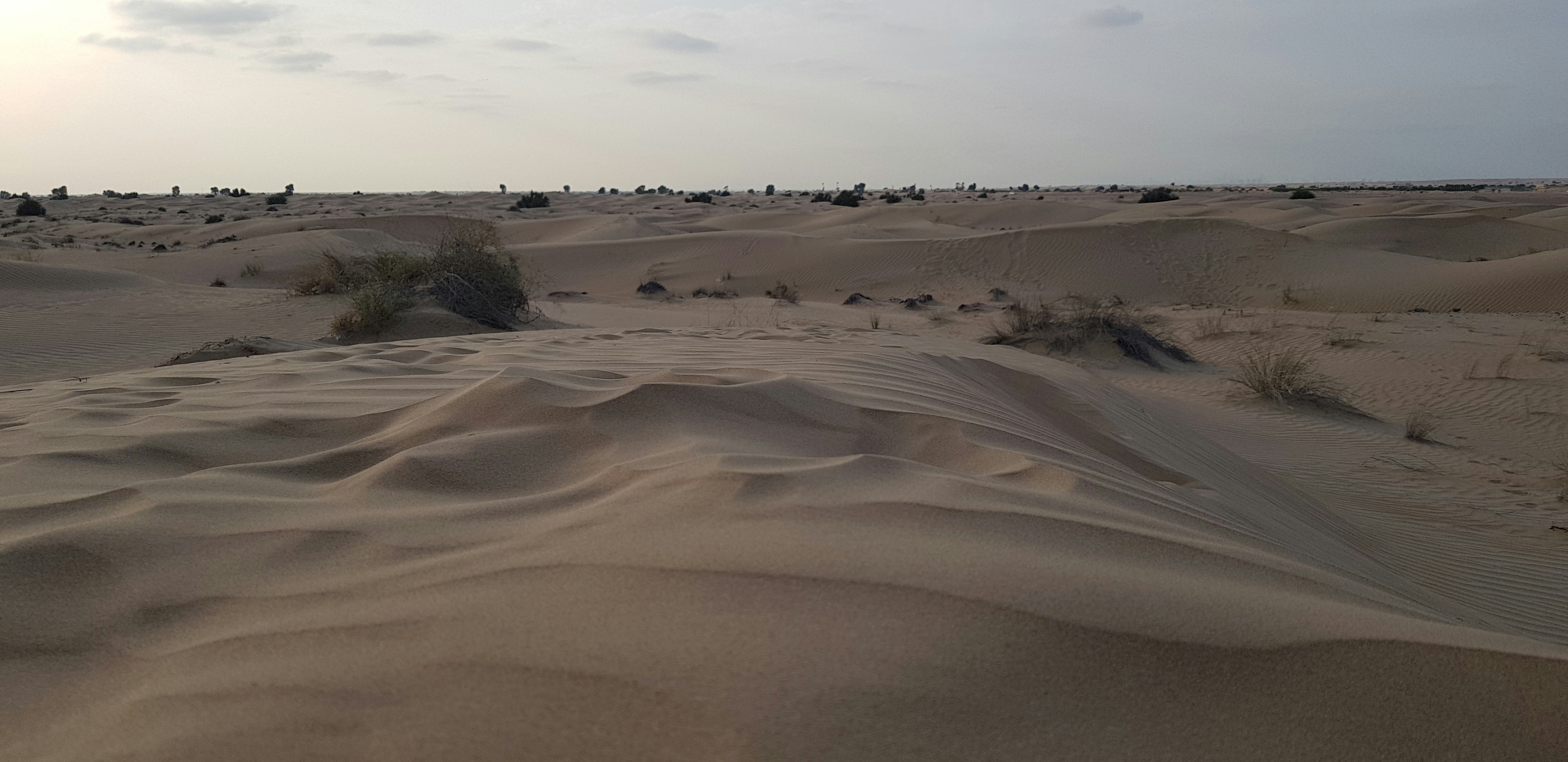 Rolling sand dunes under a cloudy sky with sparse vegetation.