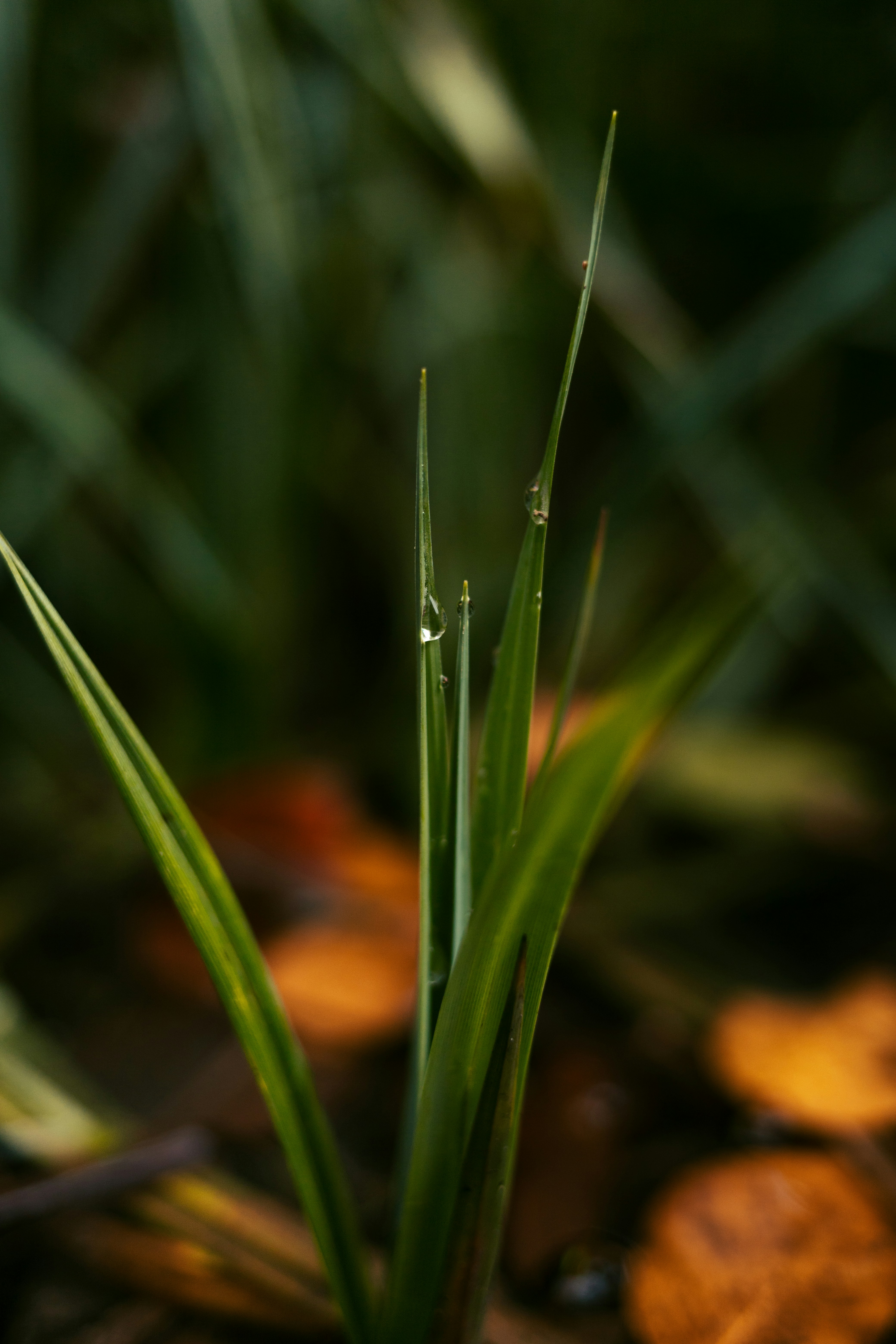 Photo by Nikita Pishchugin with Canon EOS 6D Mark II