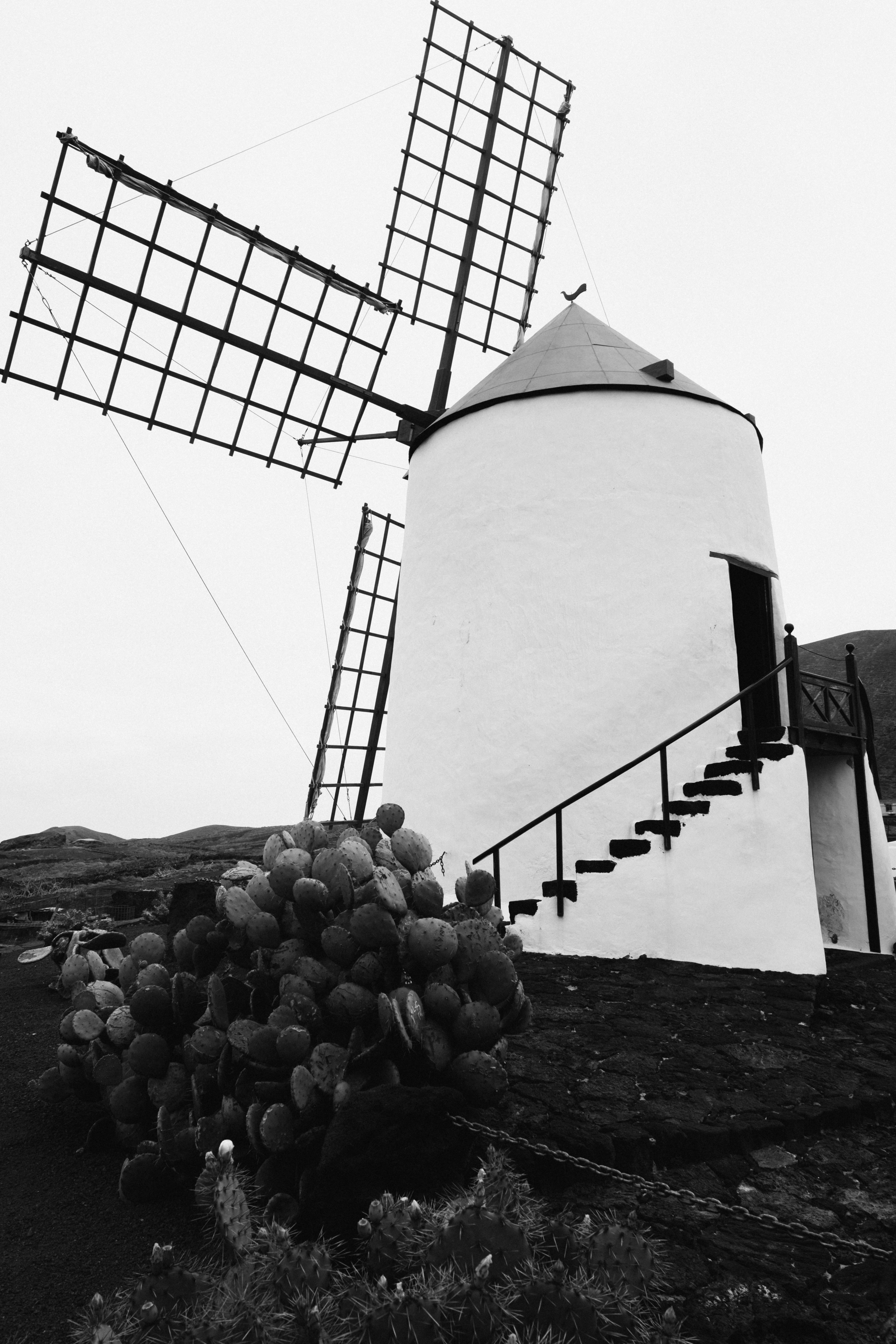 Whispering Winds: A Windmill's Quiet Contemplation