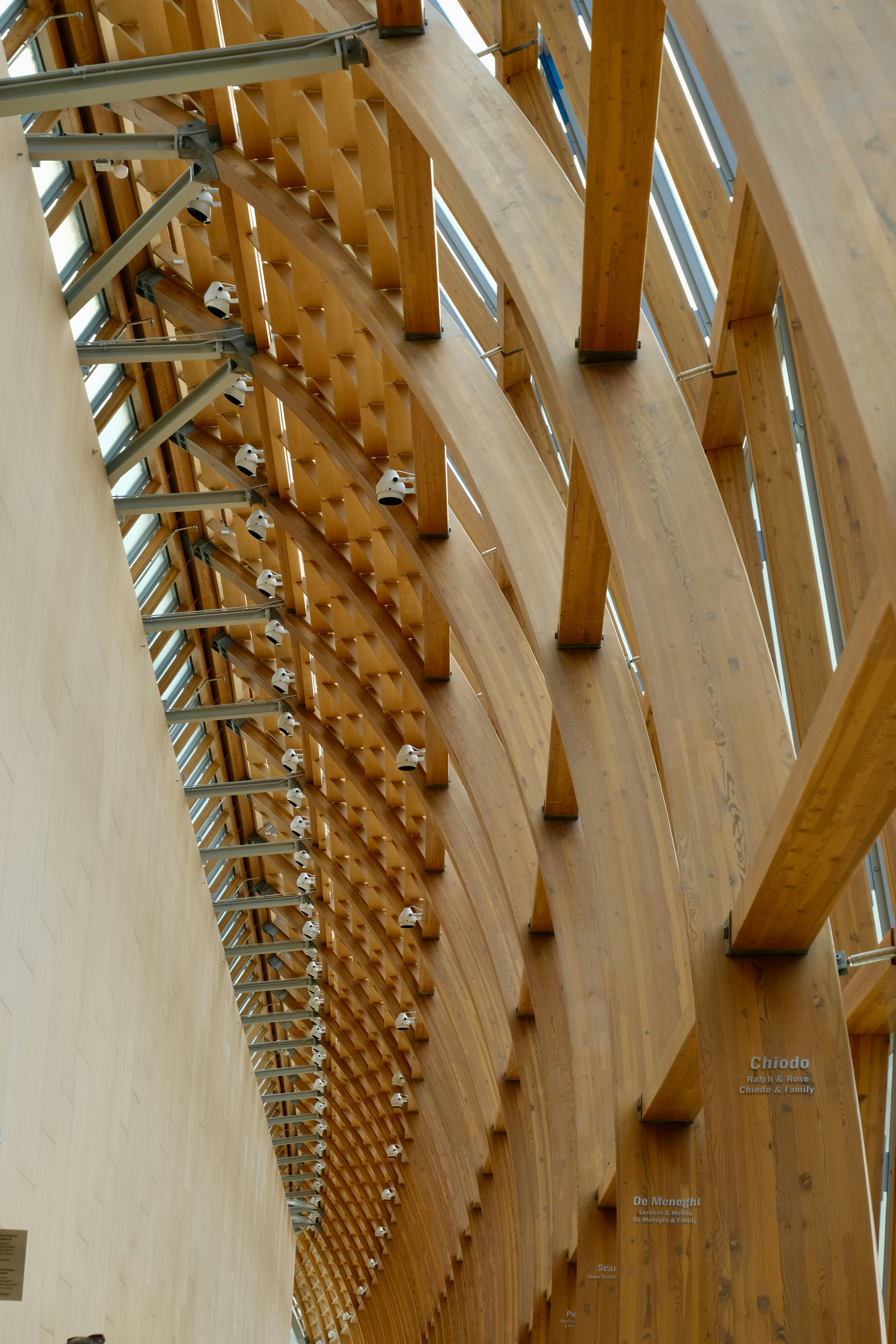 Photo by Anil Baki Durmus with Fujifilm X-T30 II