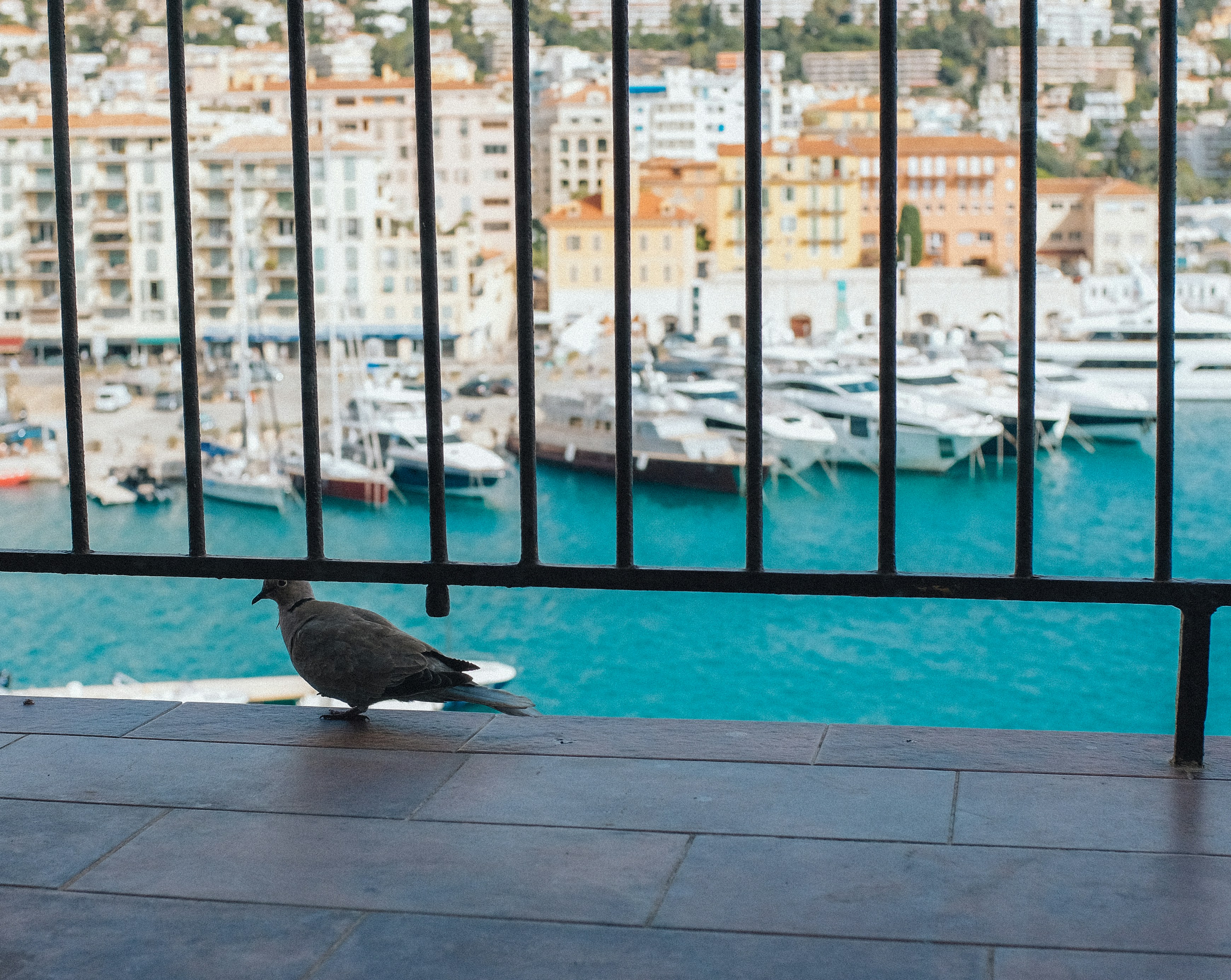 The Balcony Sentinel Over a Turquoise Marina