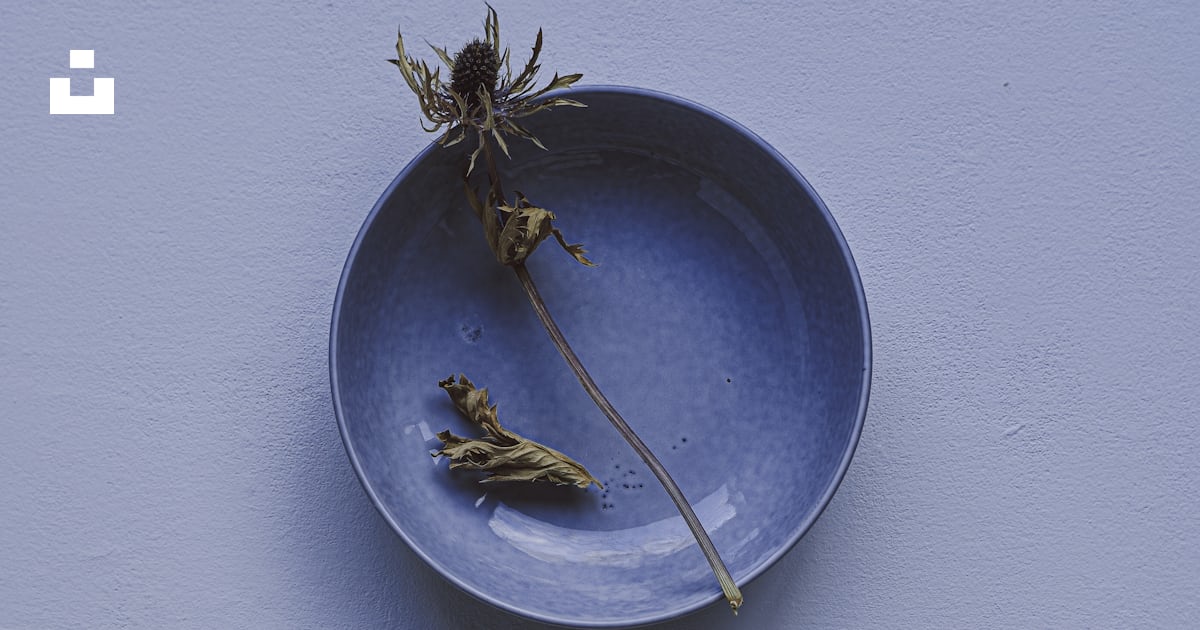 A Blue Plate With A Dead Flower On It Photo Free Blue Background