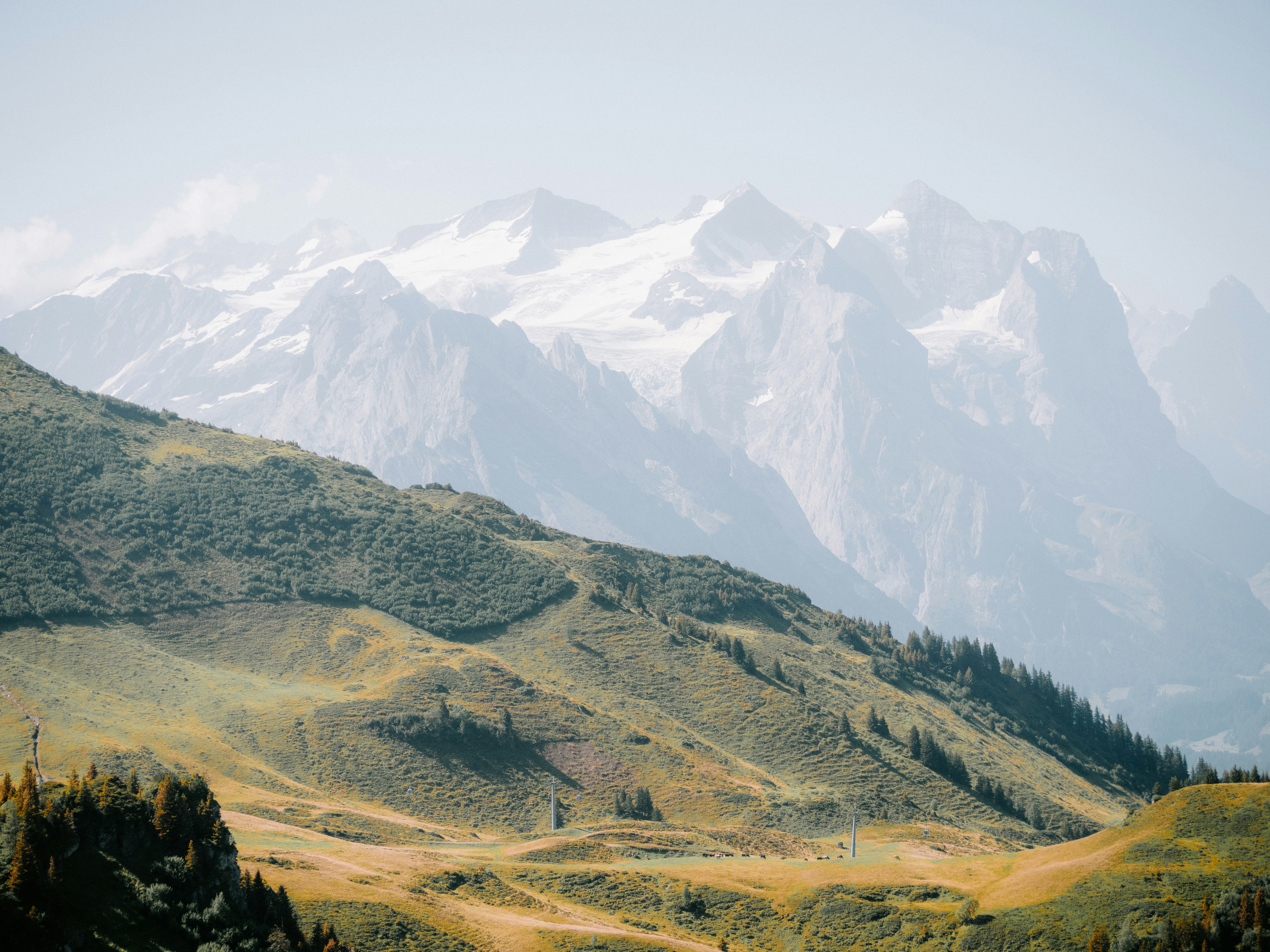 A view of a mountain range from a distance photo – Free Green Image on ...