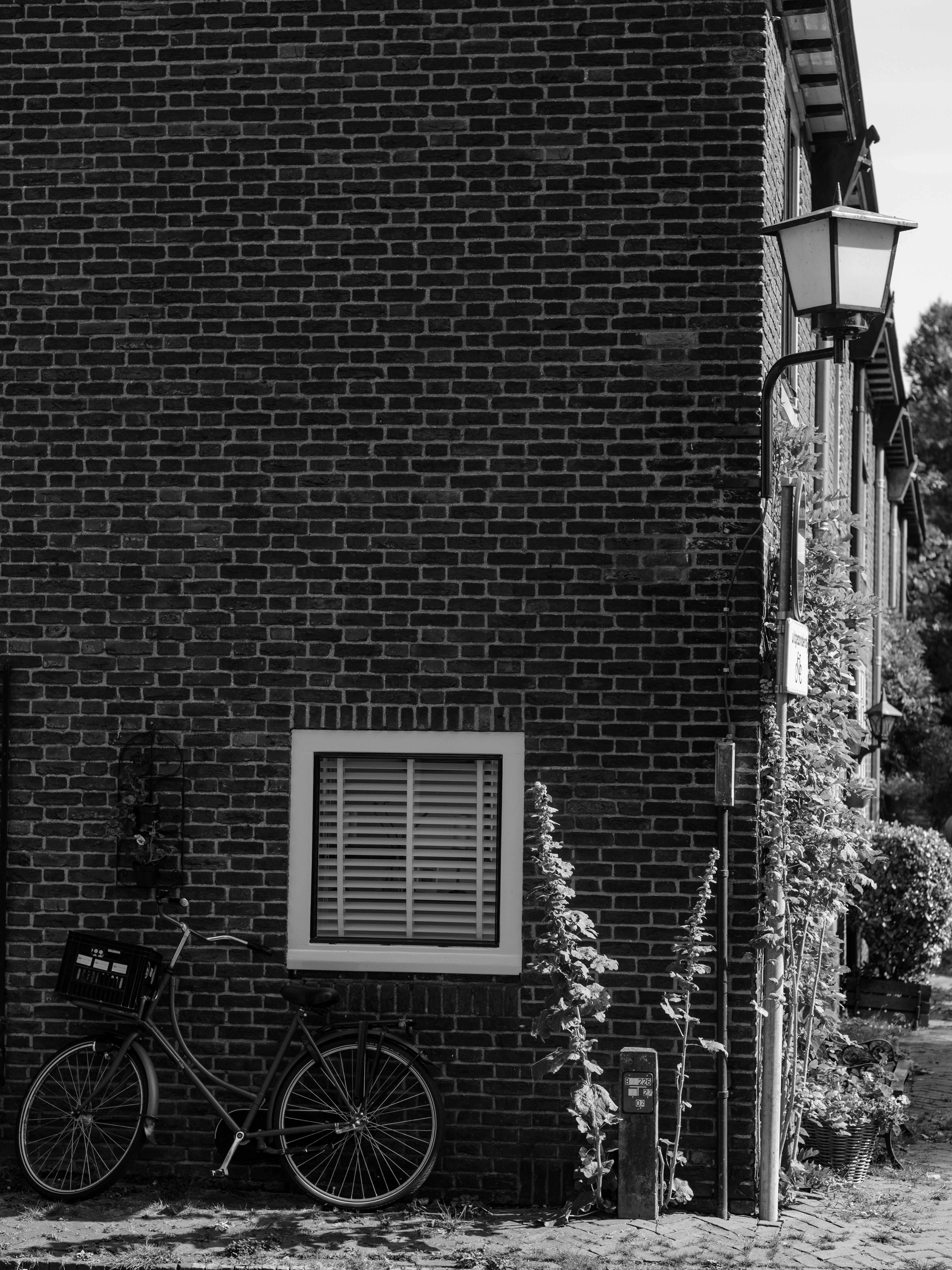 Monochrome street scene featuring a brick wall with a small window, a bicycle resting against it, and a row of lanterns along the corner.