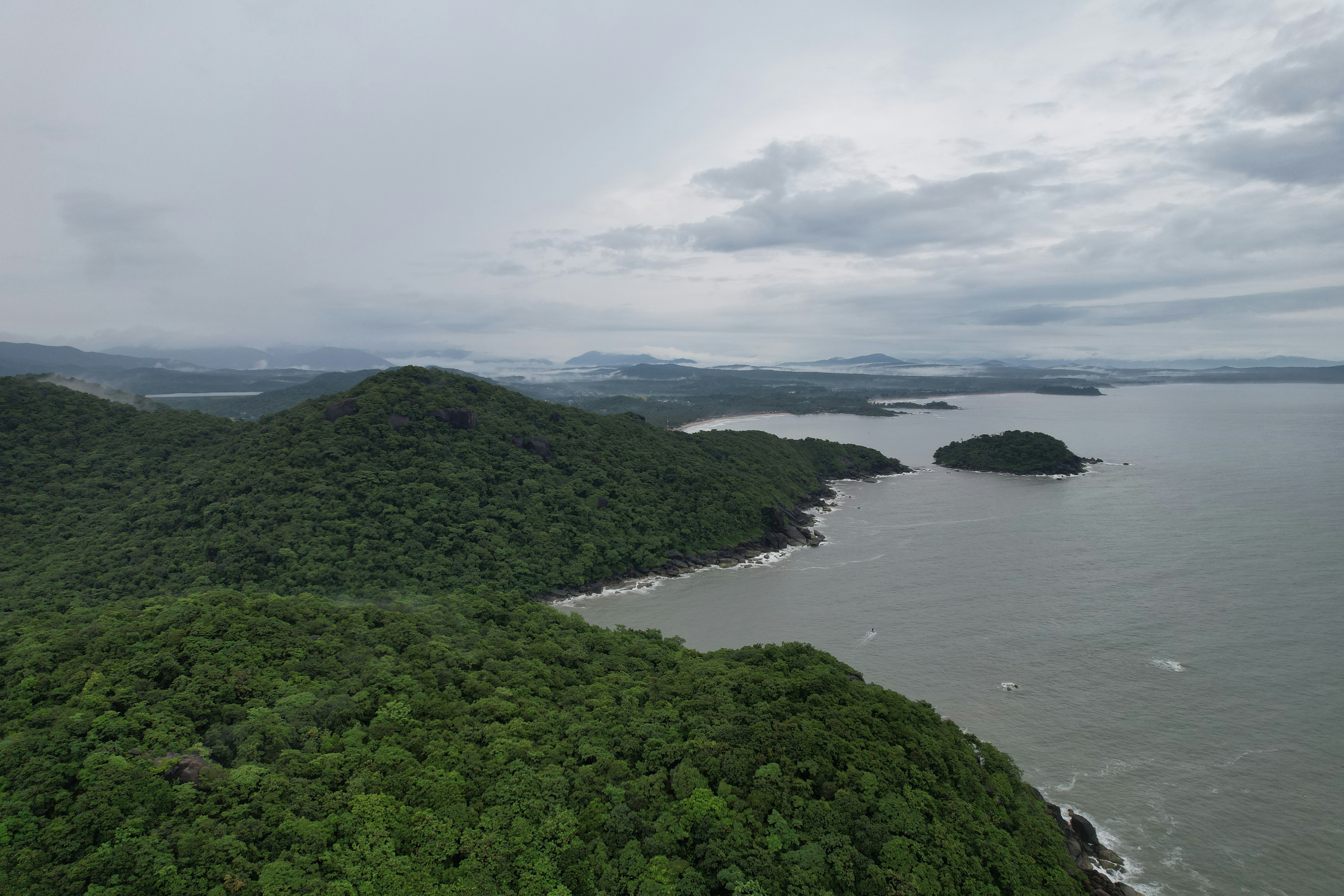 A large body of water surrounded by lush green trees photo – Free South ...