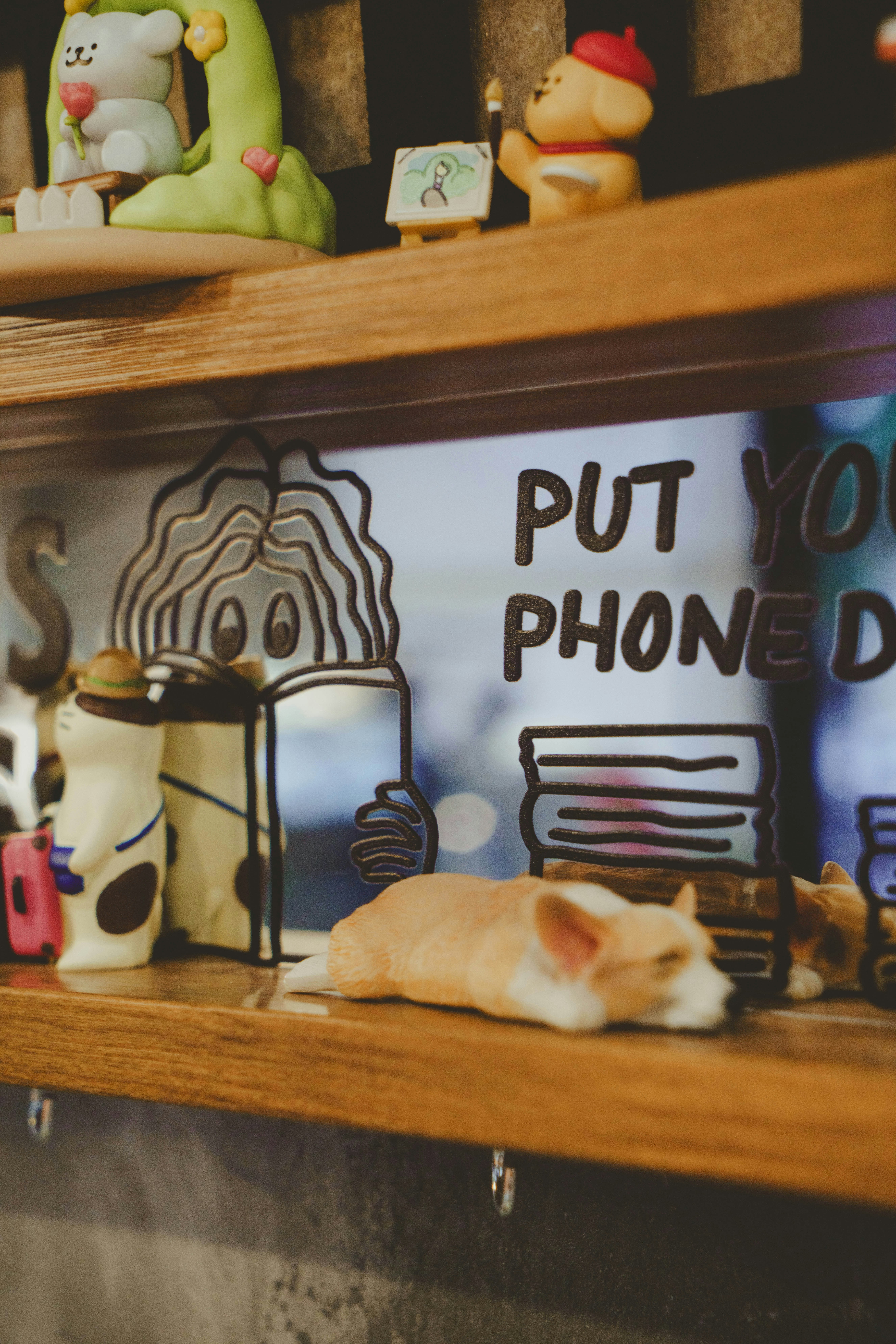Whiskers and Whimsy: A Sleepy Cat Beneath the 'Put Your Phone Down' Sign