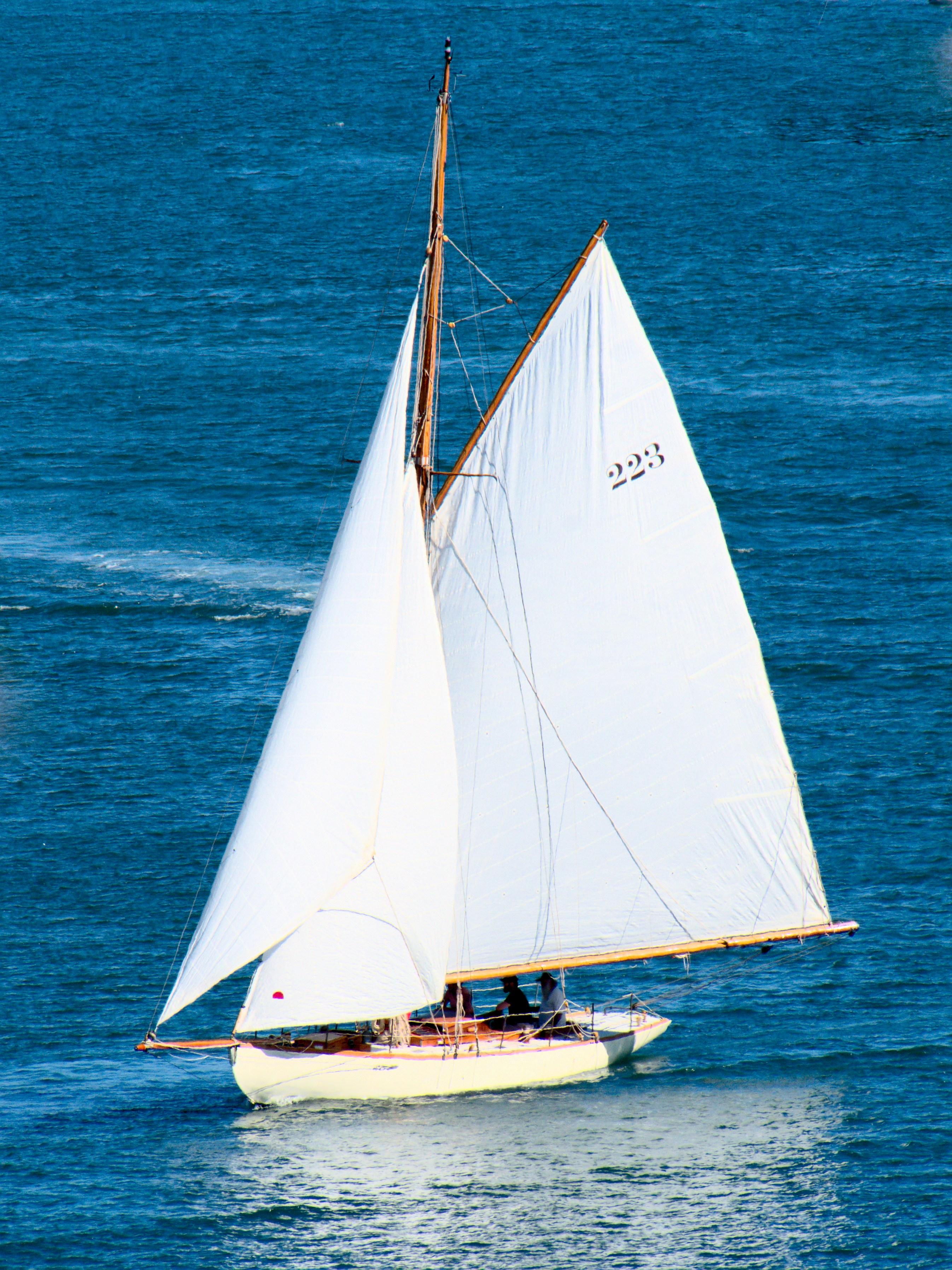 A small sailboat sailing on a large body of water photo – Free ...