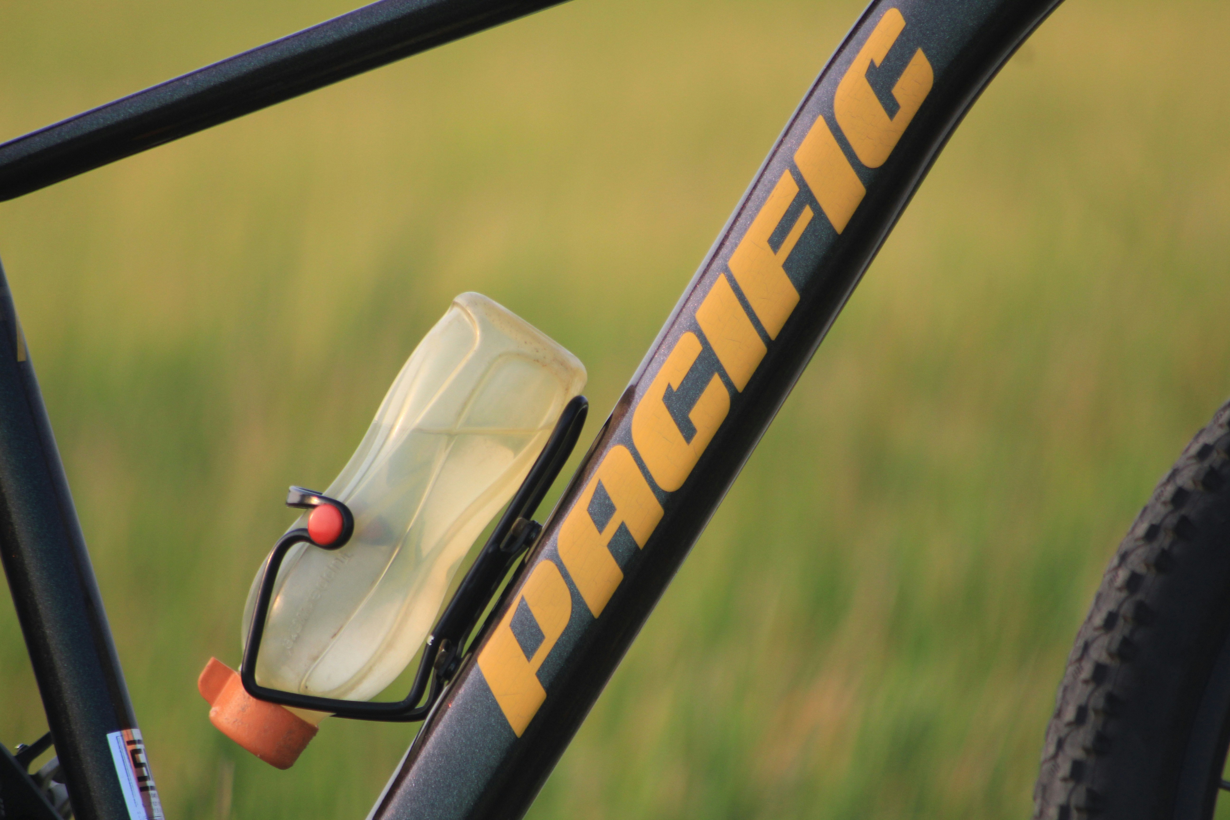 Mid-ride Focus: the Proffic bicycle with bold branding catching the light