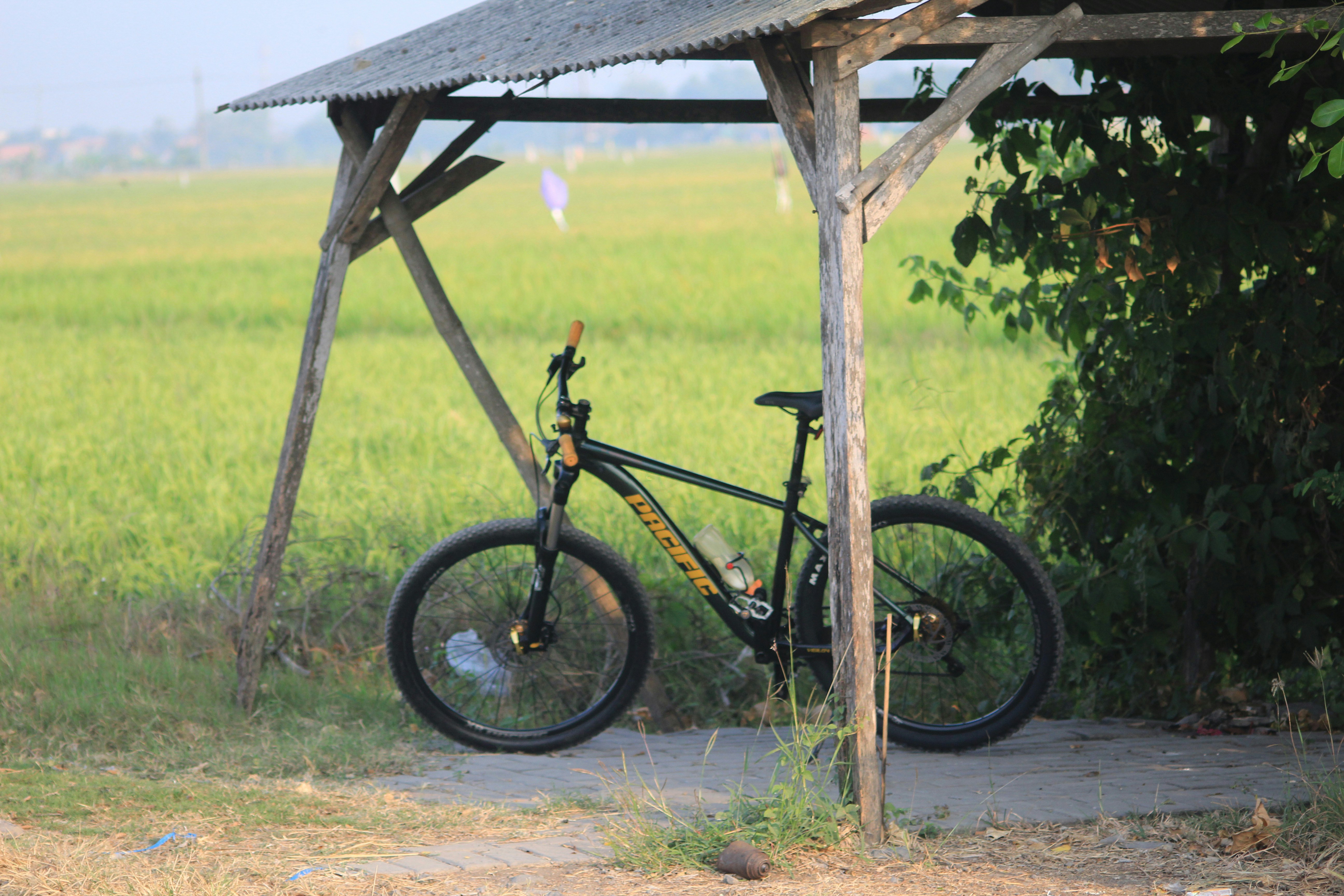 Lone MTB Pauses Under a Rustic Shelter in a Sunlit Field