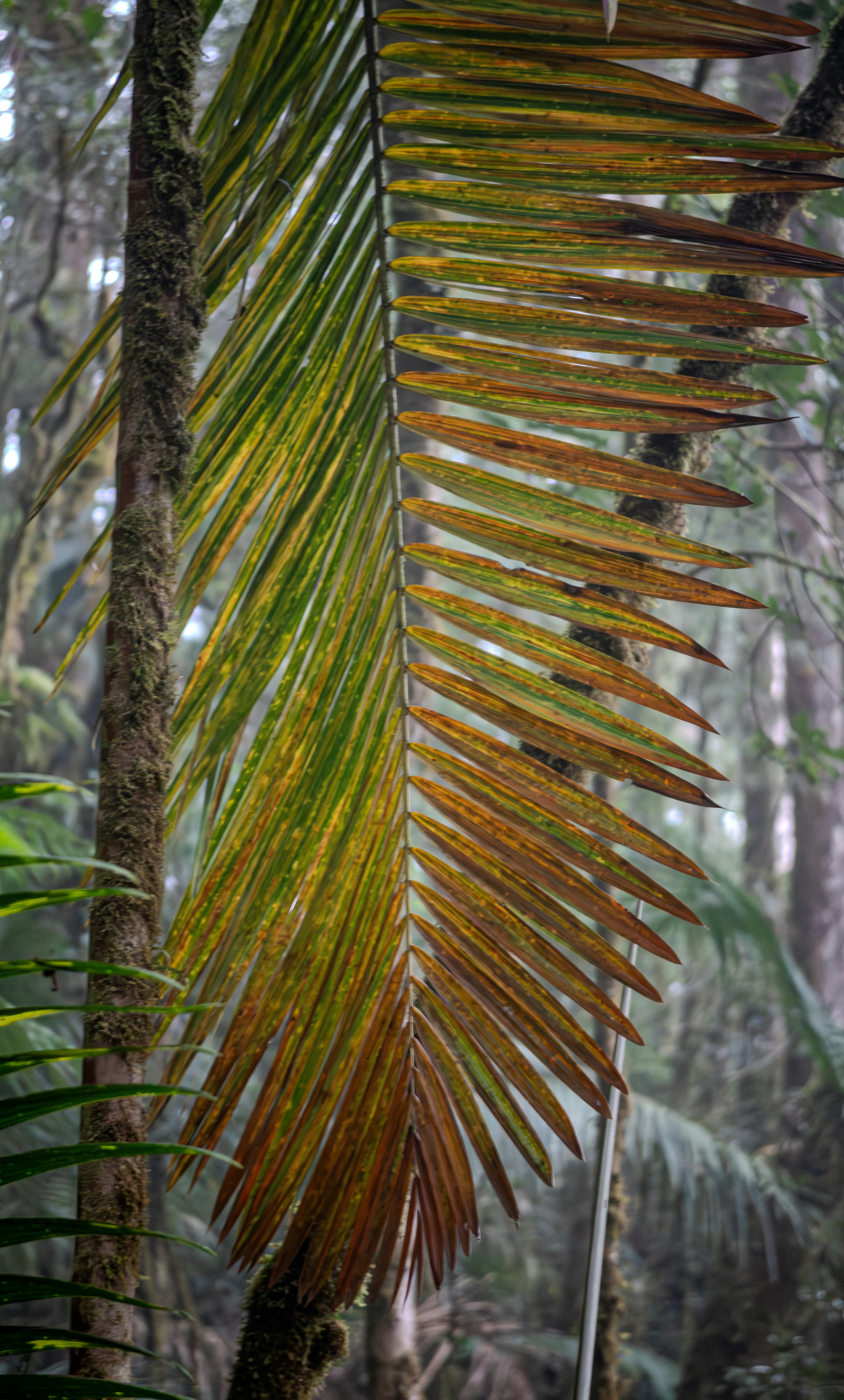 Photo by Bernd 📷 Dittrich with Canon EOS 6D Mark II