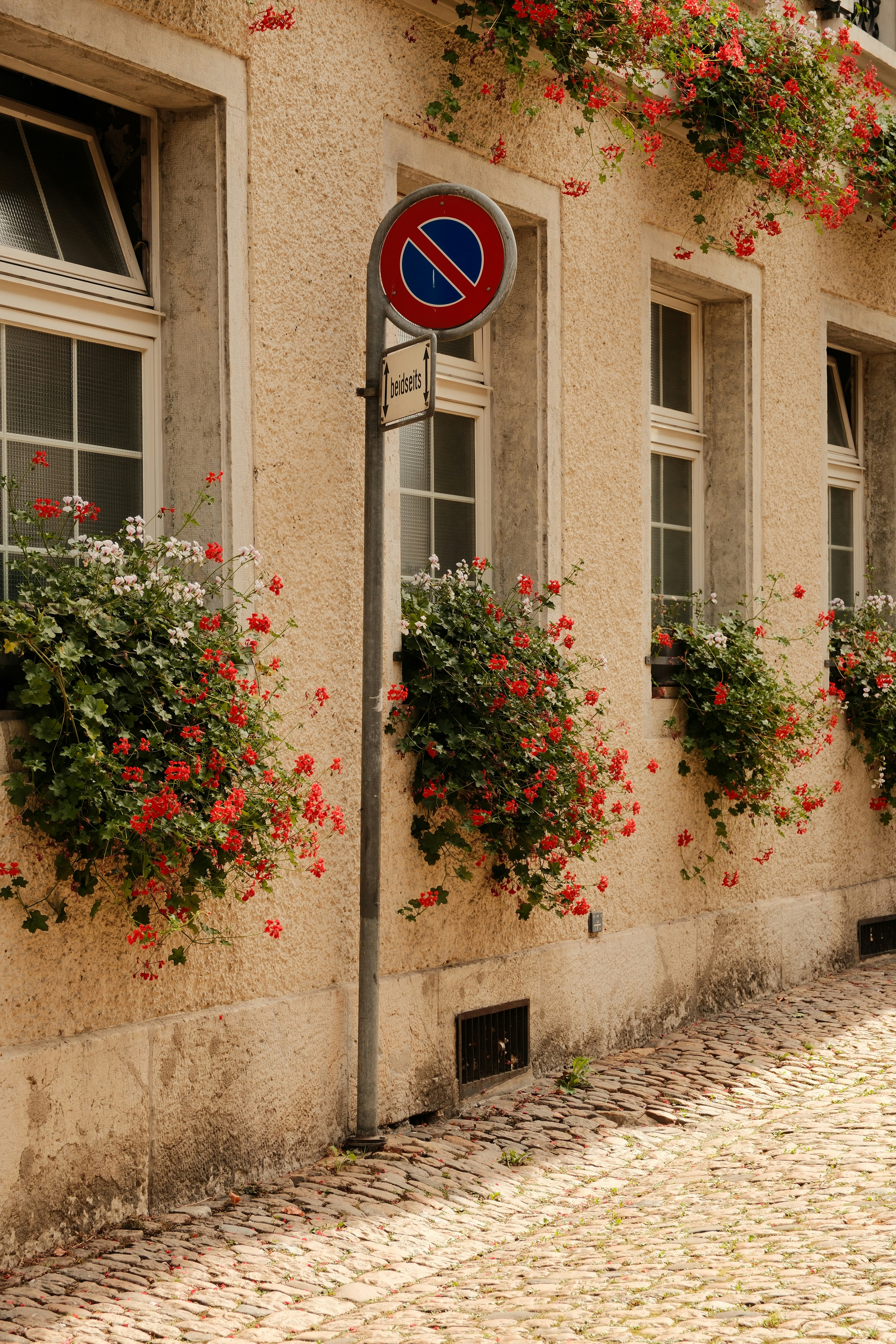 Sunlit Façade and Floral Window Boxes on a Cobblestone Street