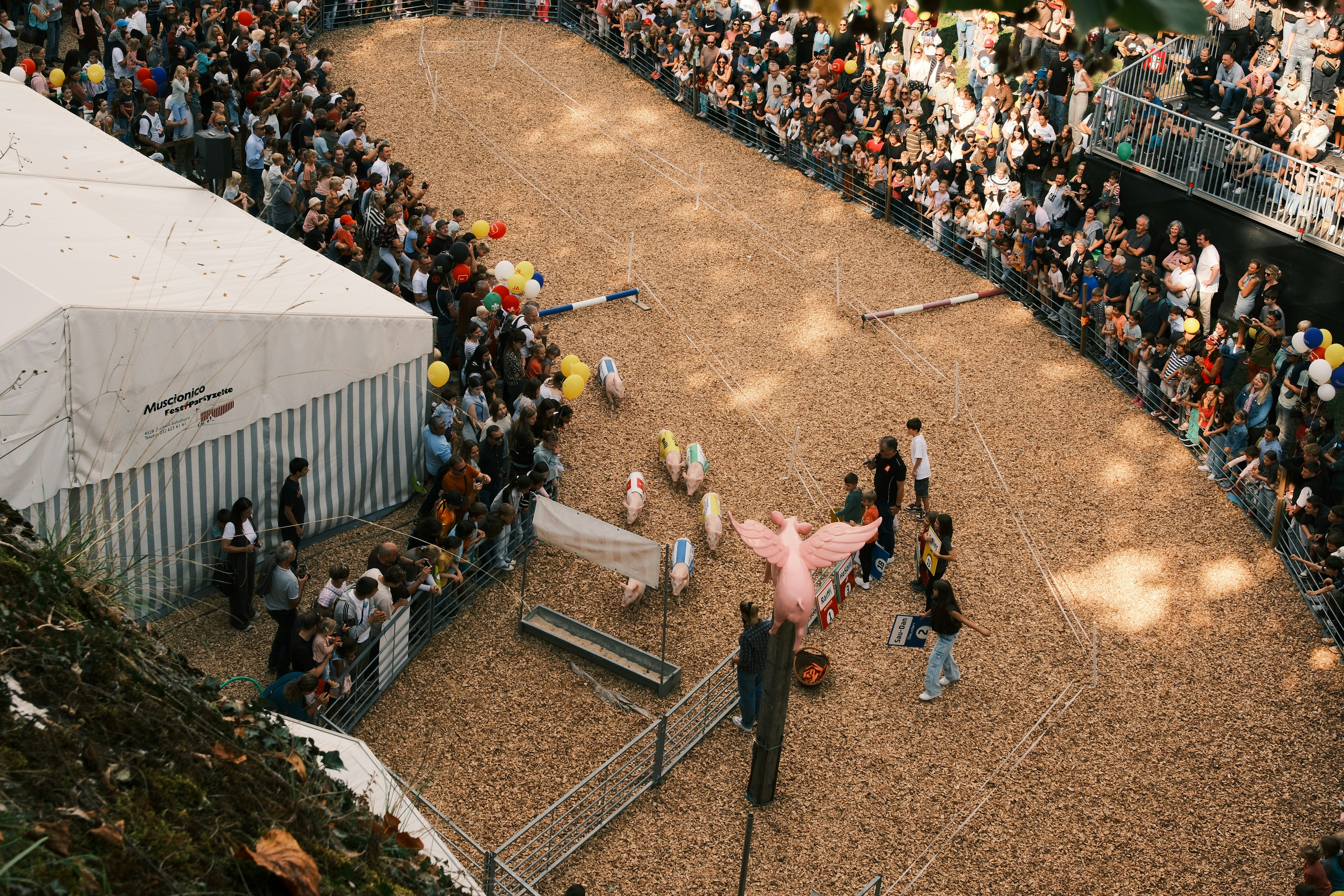 Crowd gathered around a fenced arena with a person in a pink costume and a white tent nearby.