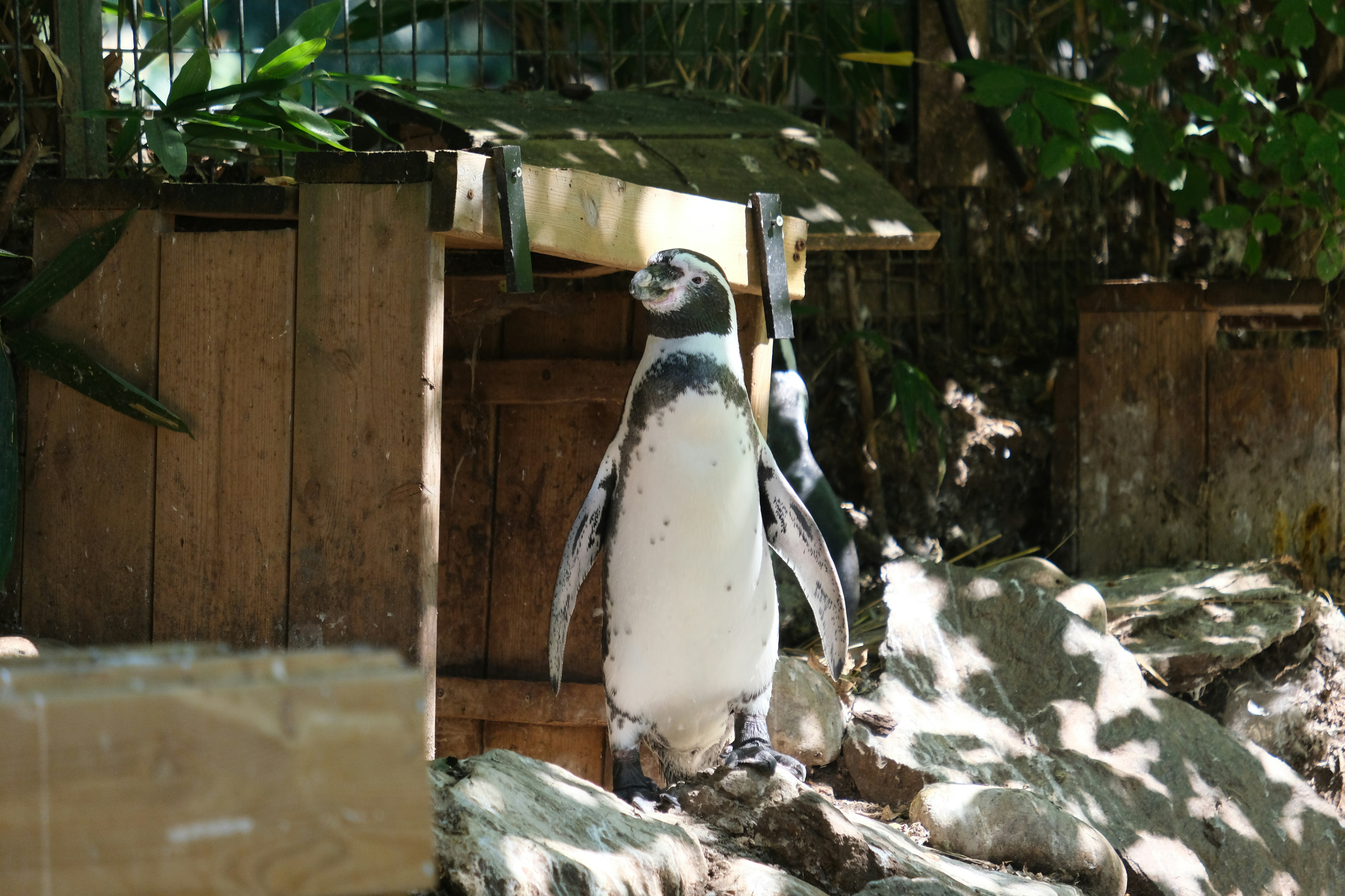 Photo by Dilien Oeuvrard with Fujifilm X-T30 II