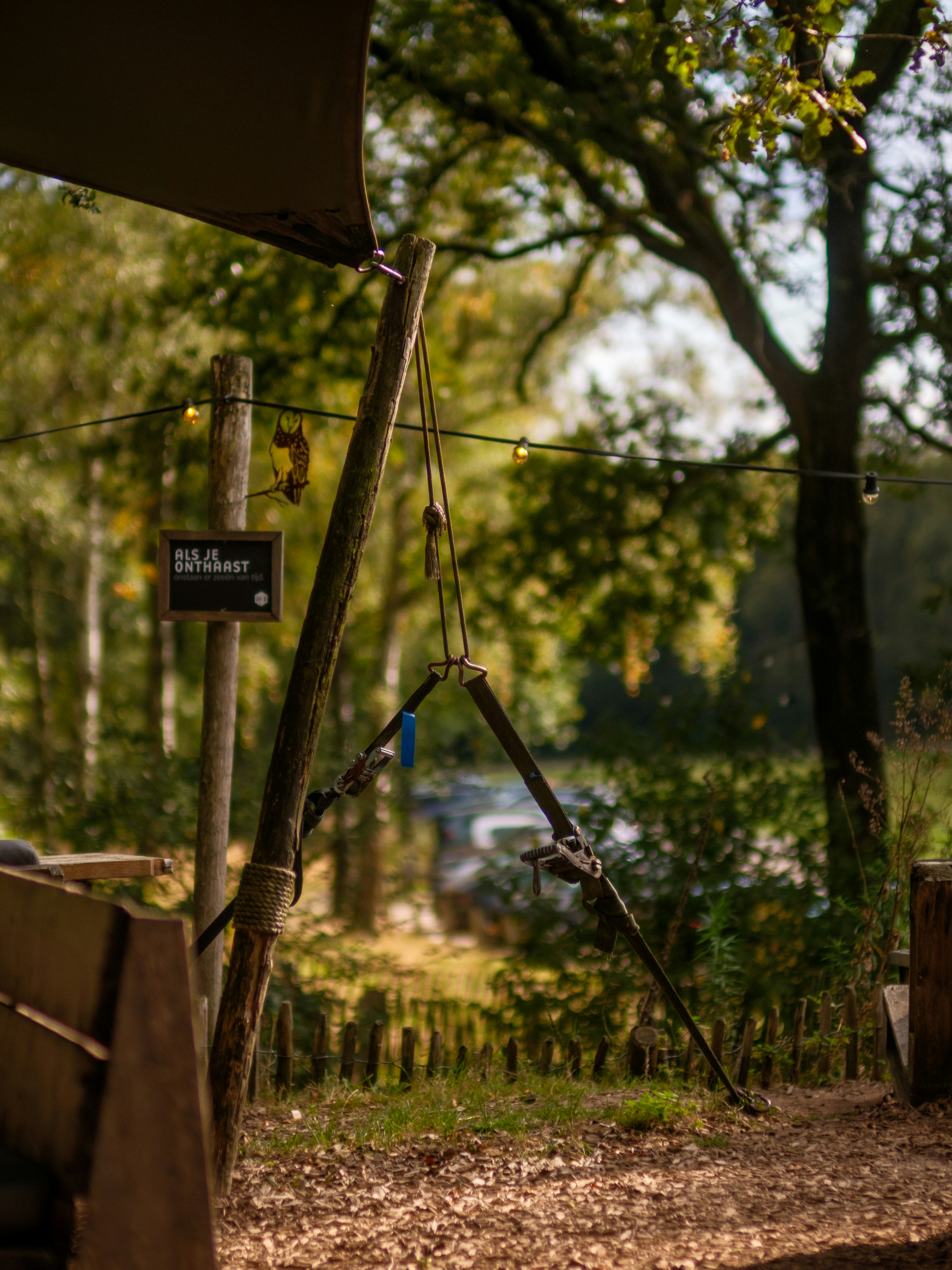 Rope-Frame Lanterns in a Quiet Forest Camp