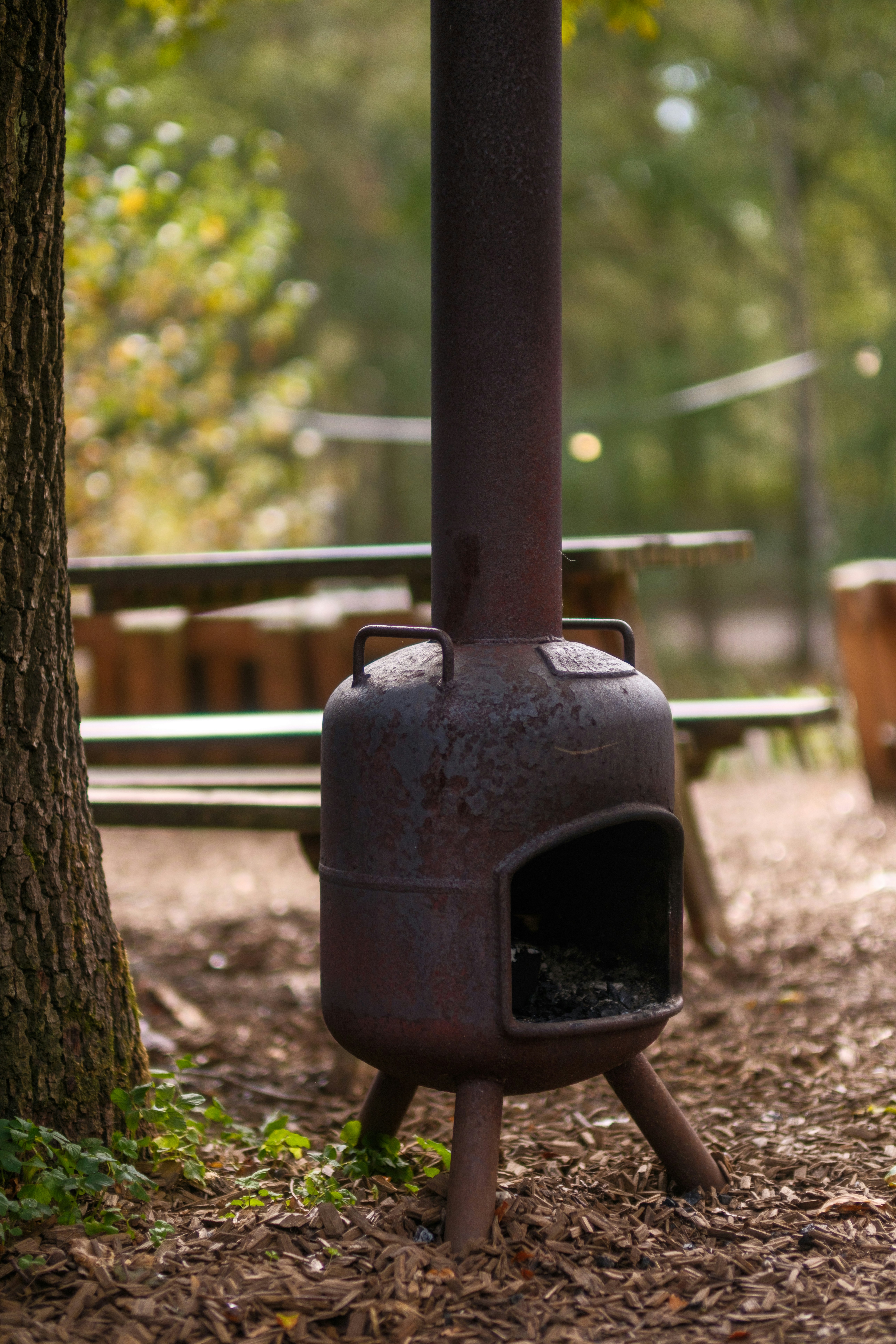 Parkside Ember: a rusted stove presiding over a quiet woodland clearing