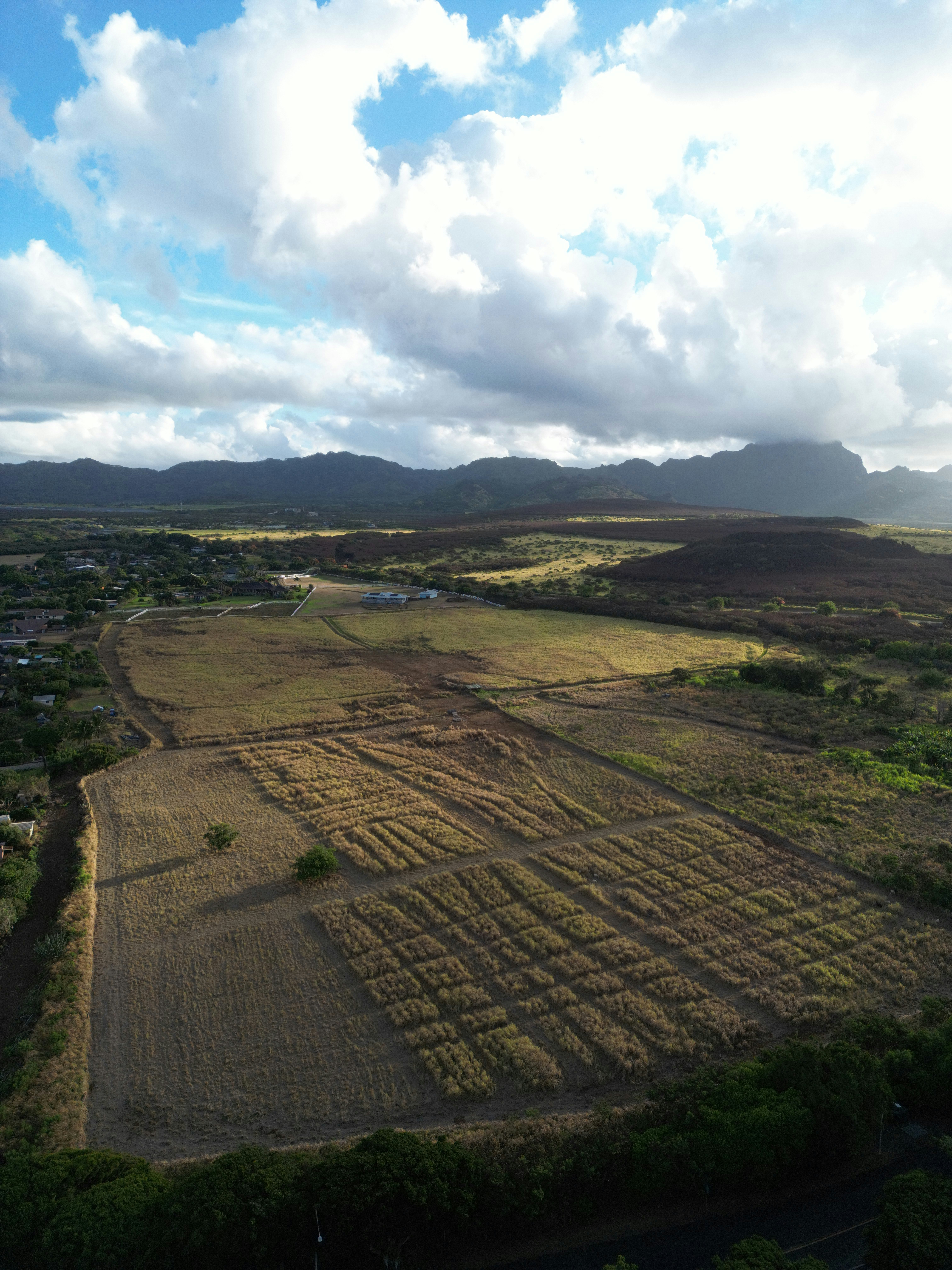 Patchwork Fields Beneath a Cloud-Crowned Horizon
