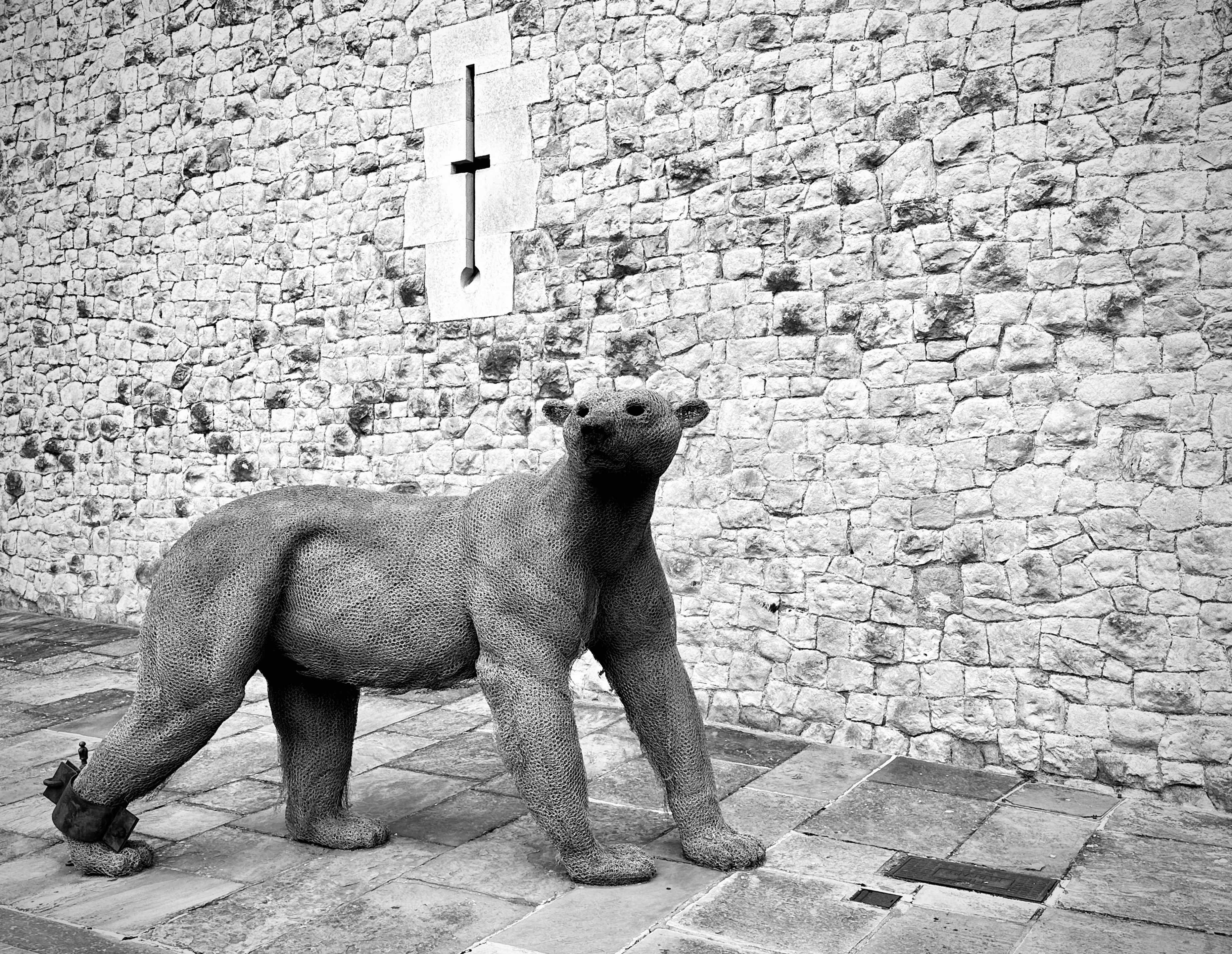 Stone-Walled Sentinel: A Monochrome Puma at Rest