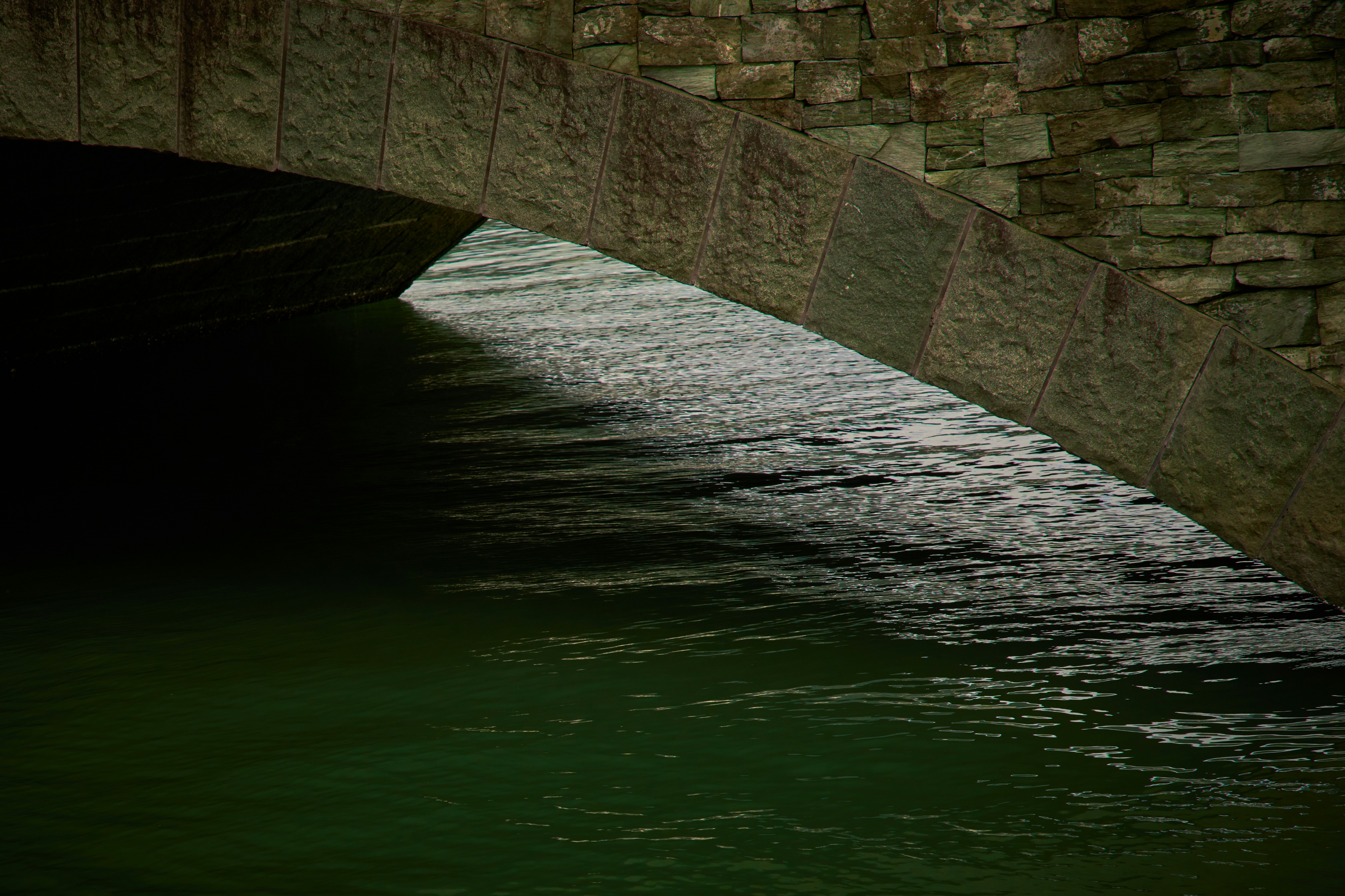 Photo by Buddy AN with Sony Alpha 7R V