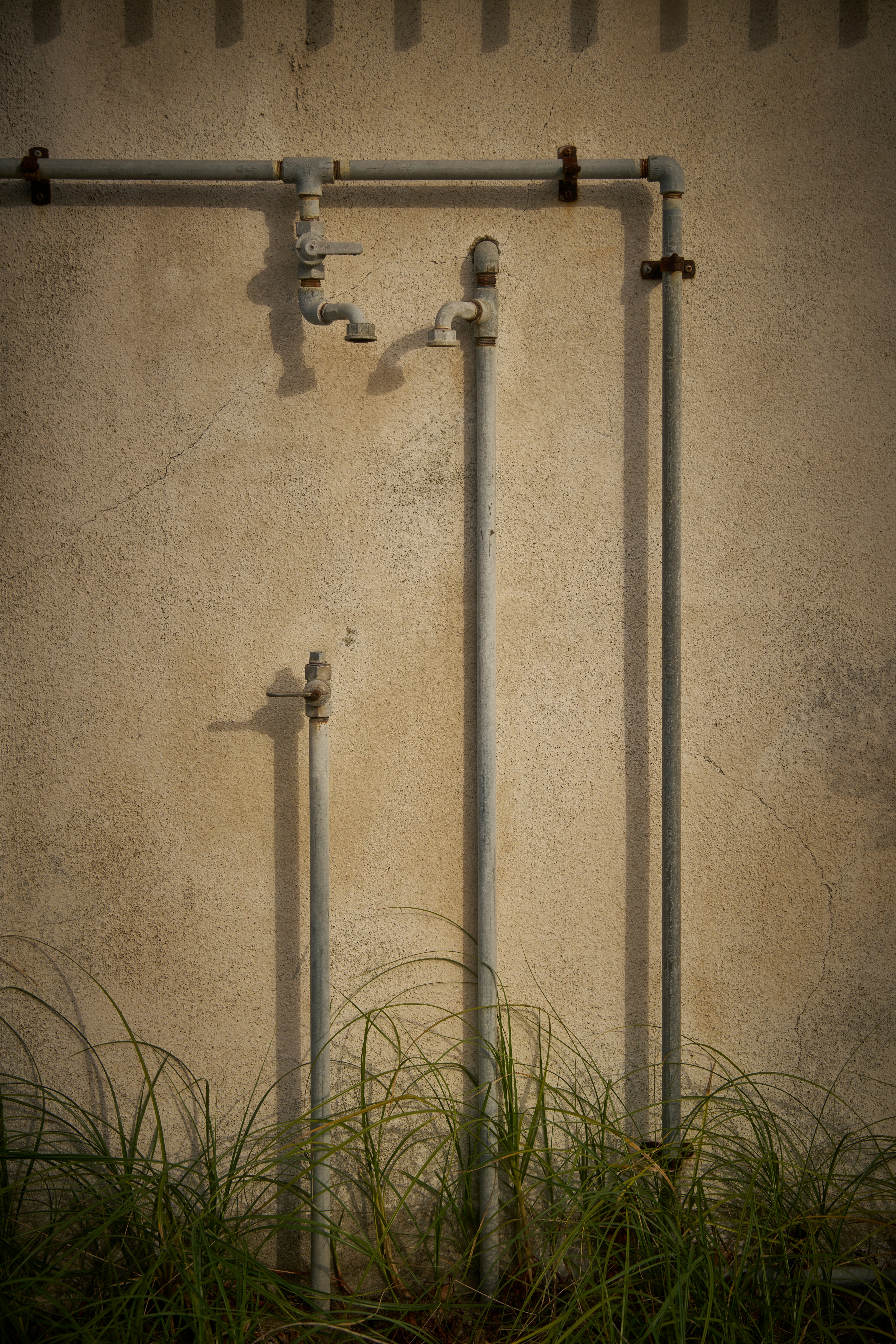 Photo by Buddy AN with Sony Alpha 7R V