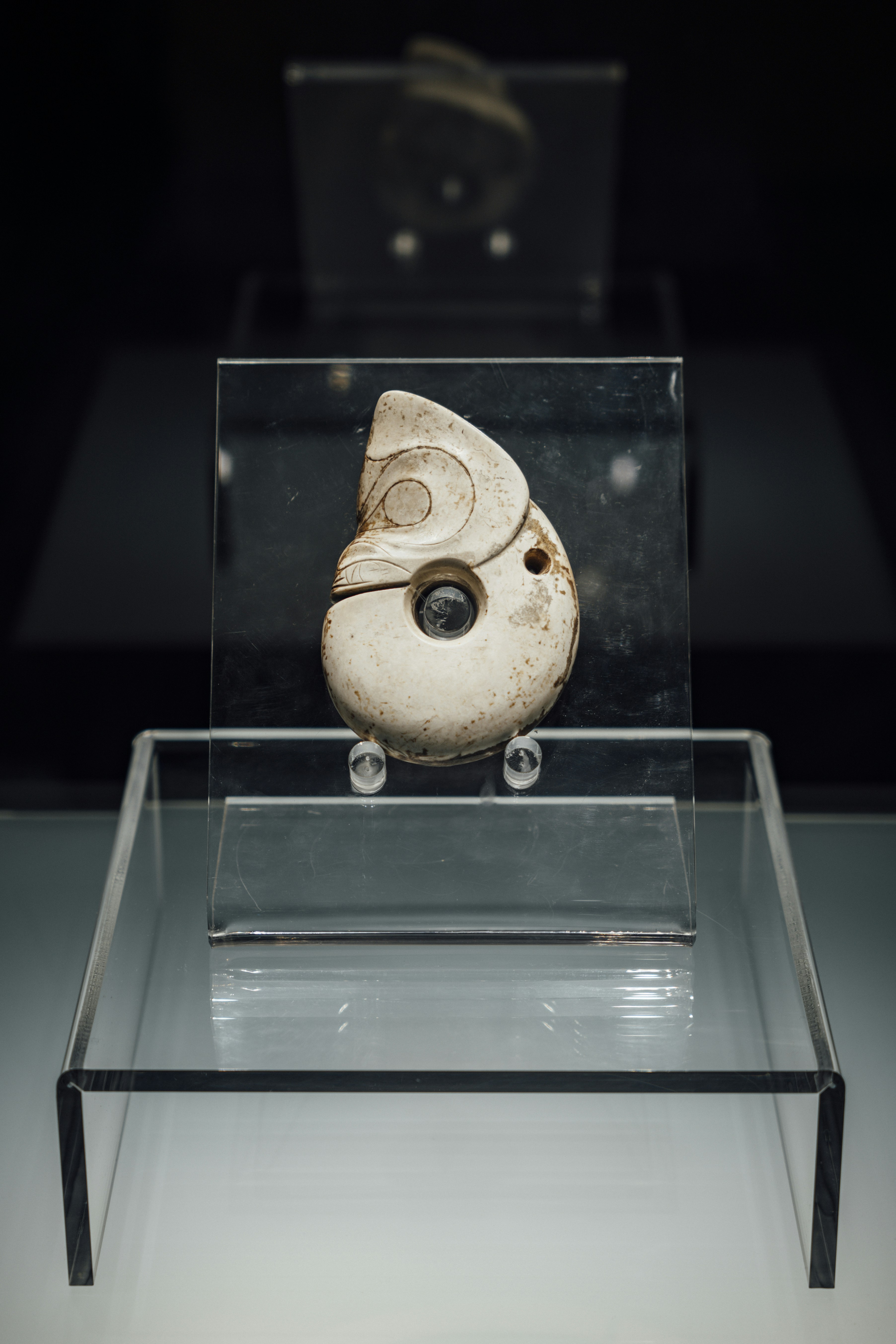 A glass case with a white object inside of it photo – Free Indoors ...