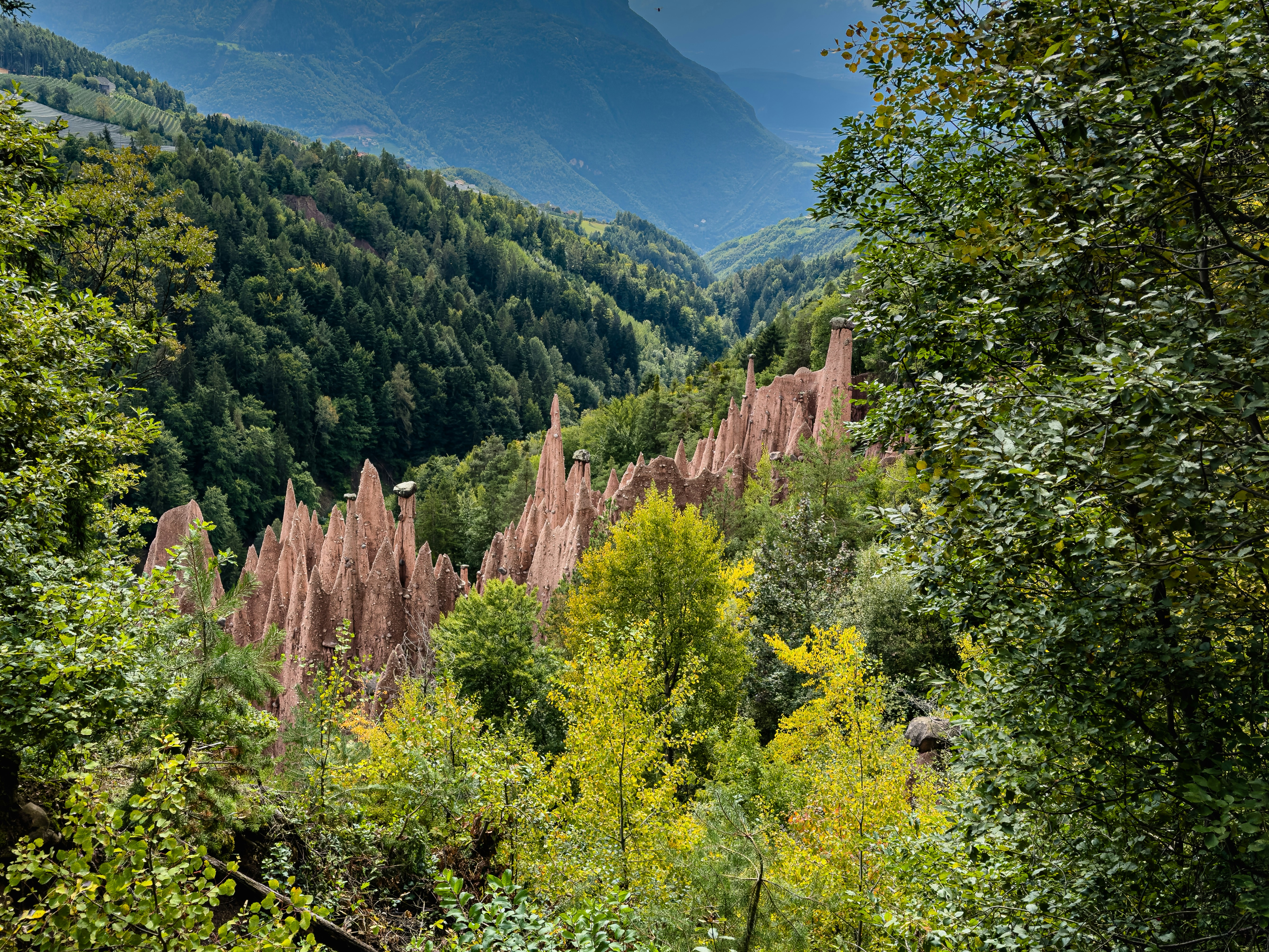 Crimson Hoodoos Carving Through a Pine-Filled Alpine Valley